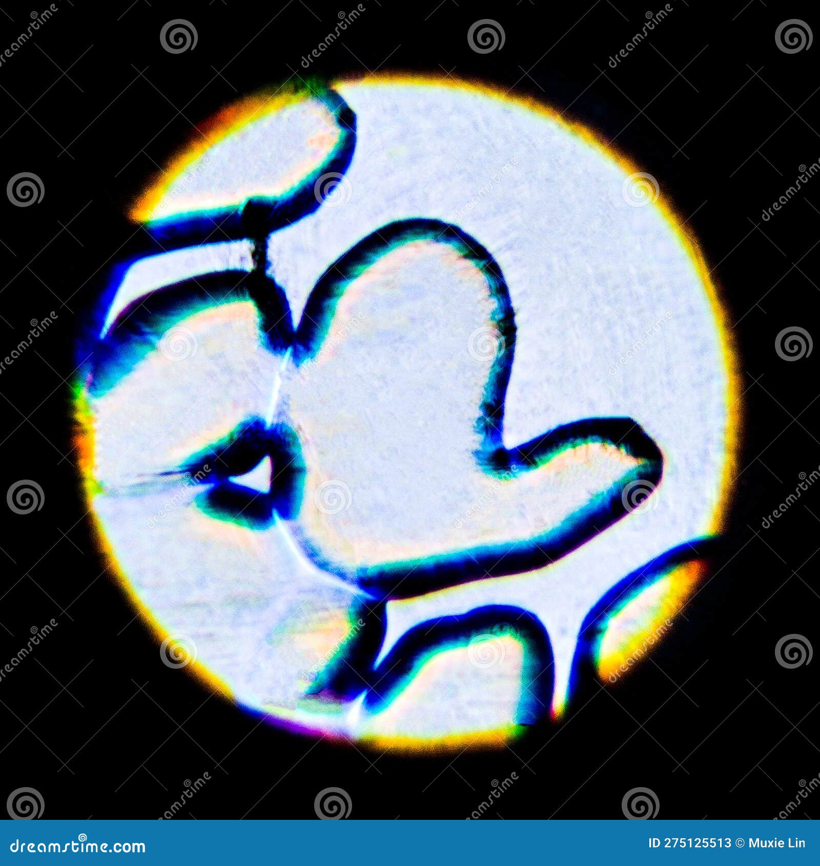 Abstract Images of Vegetable Cells Under a Microscope Stock Image ...