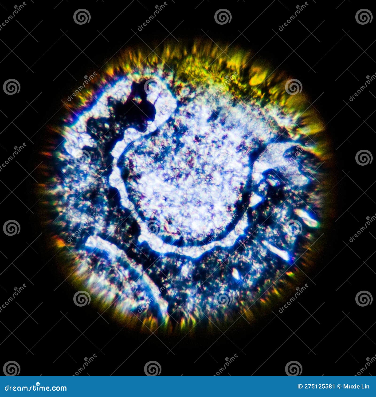 Abstract Images of Vegetable Cells Under a Microscope Stock Image ...