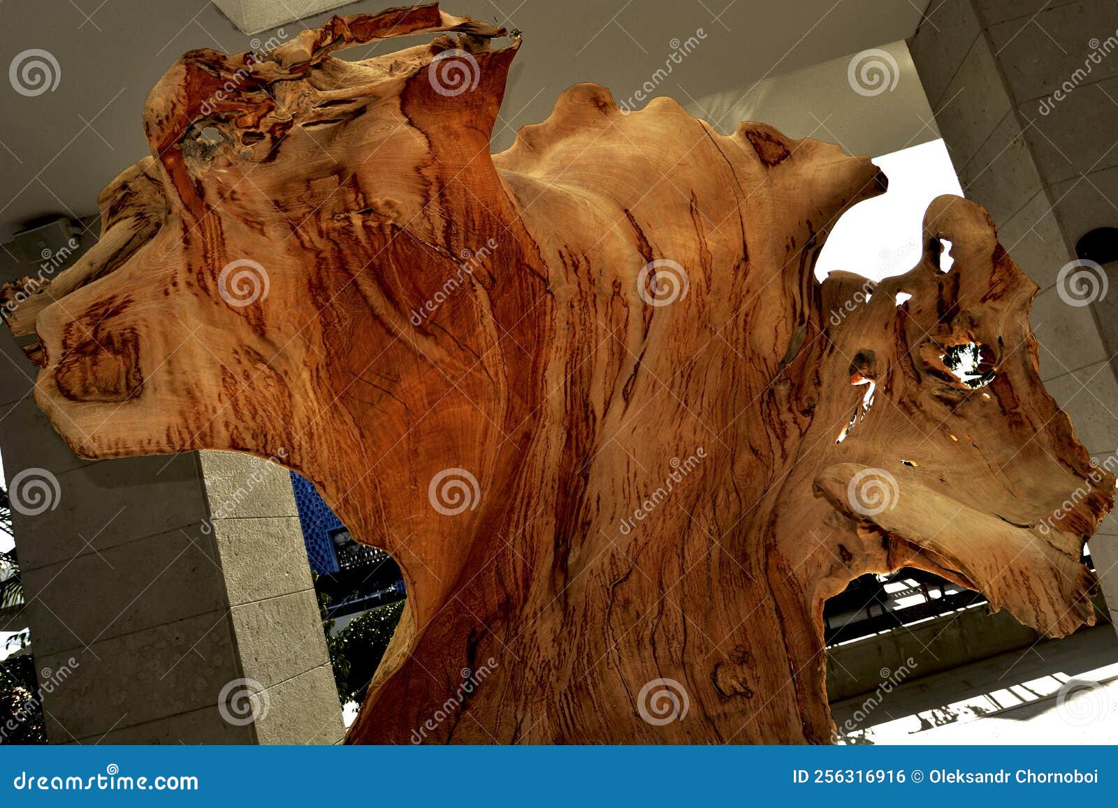 Abstract Installation of a Huge Brown Tree Root Stock Photo - Image of ...