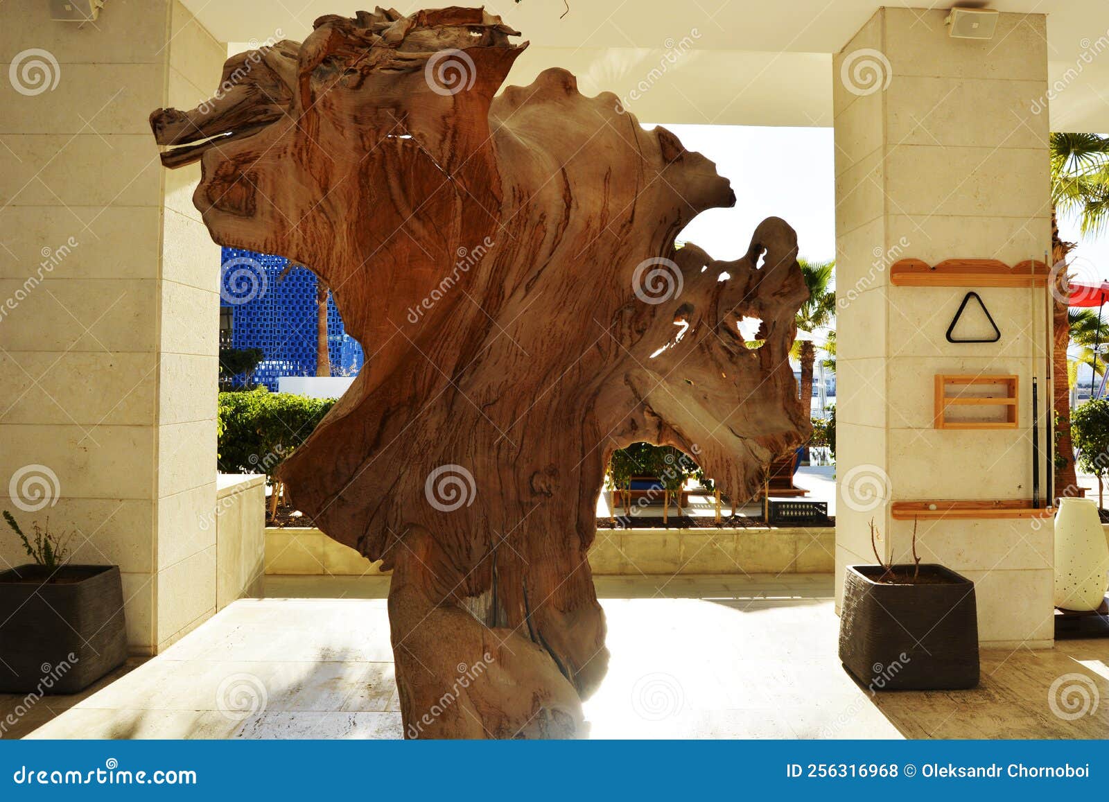 Abstract Installation of a Huge Brown Tree Root Stock Photo - Image of ...