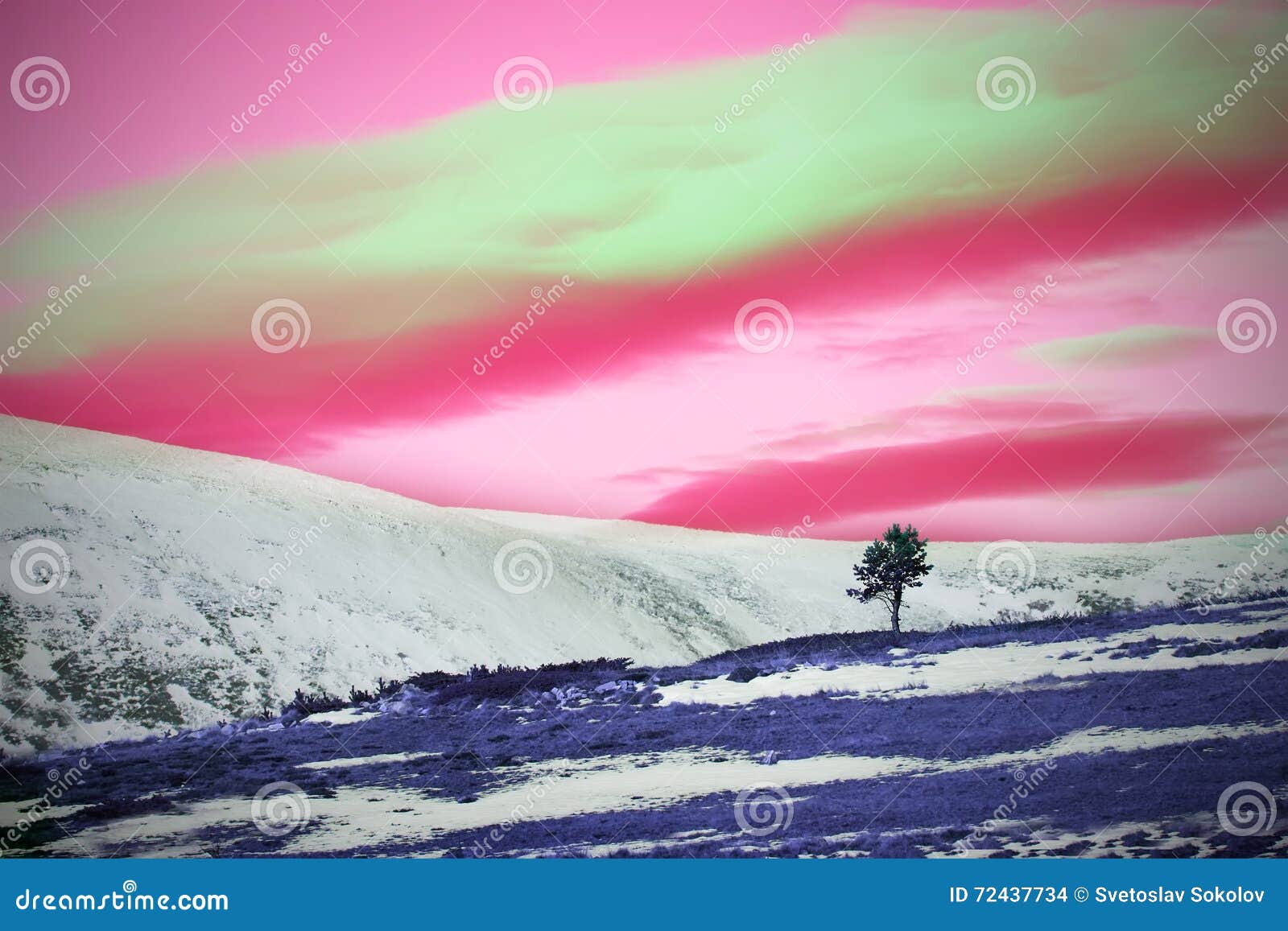 Abstract ir landscape stock photo. Image of filtered - 72437734