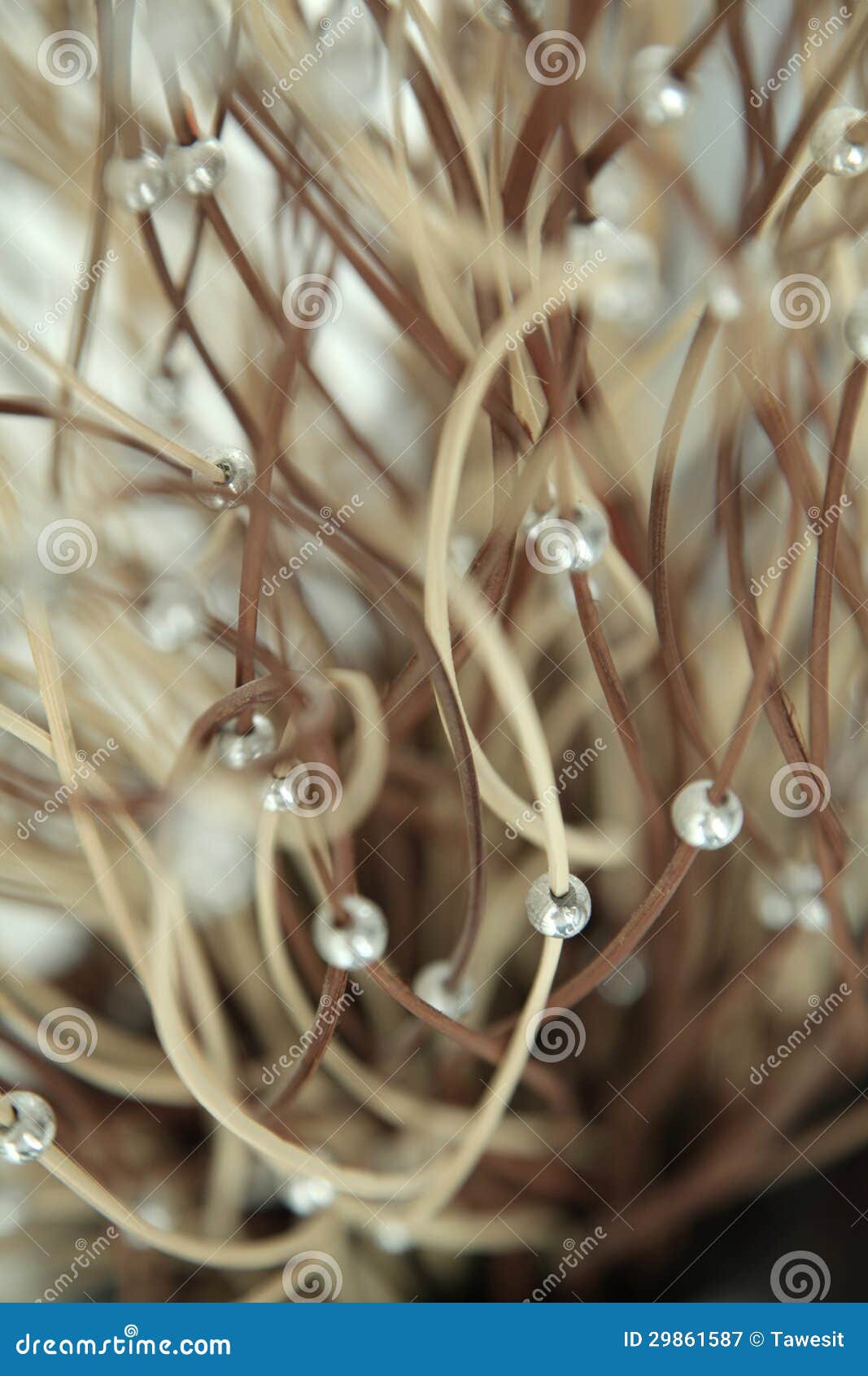 Abstract bead stock image. Image of delicacy, closeupconcept - 29861587