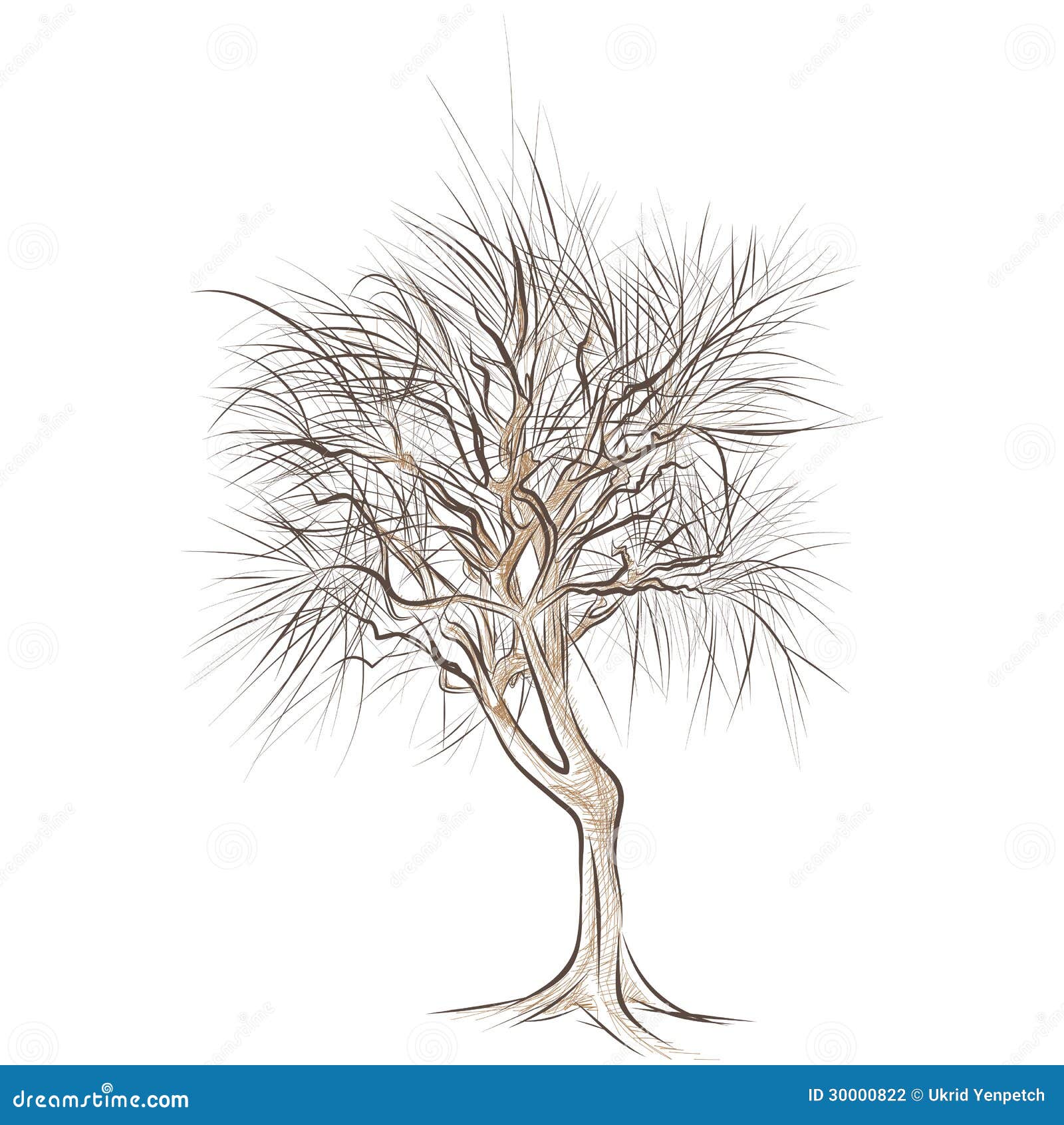 Large Bare Tree without Leaves - Hand Drawn Stock Vector - Illustration ...