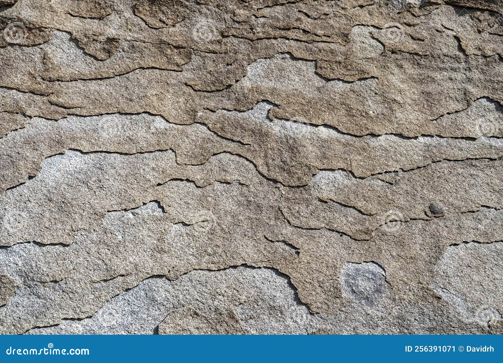 Abstract Layered Patterns on a Rock Surface at Castle Rocks State Park ...