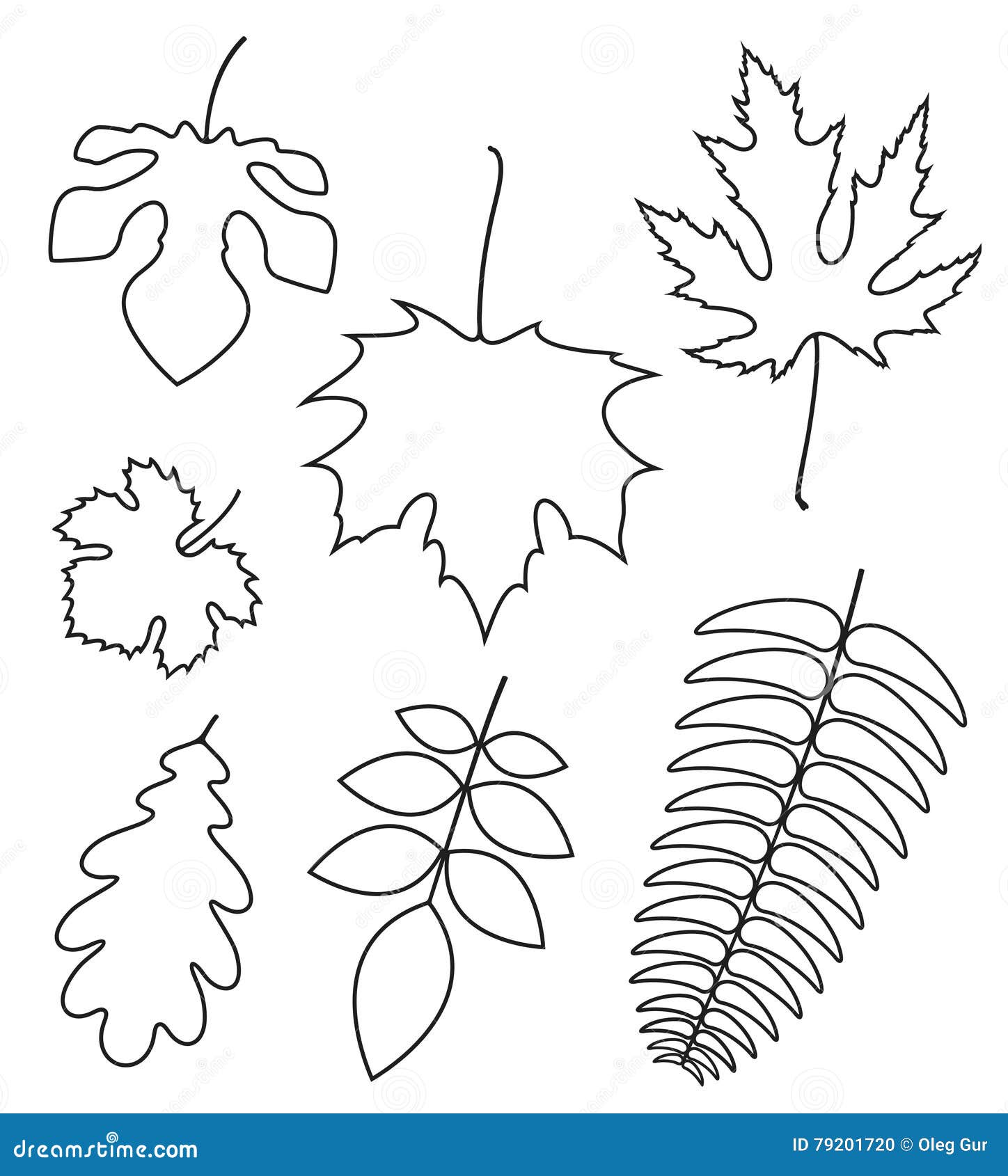 Abstract Leaf. Outline stock vector. Illustration of autumn - 79201720