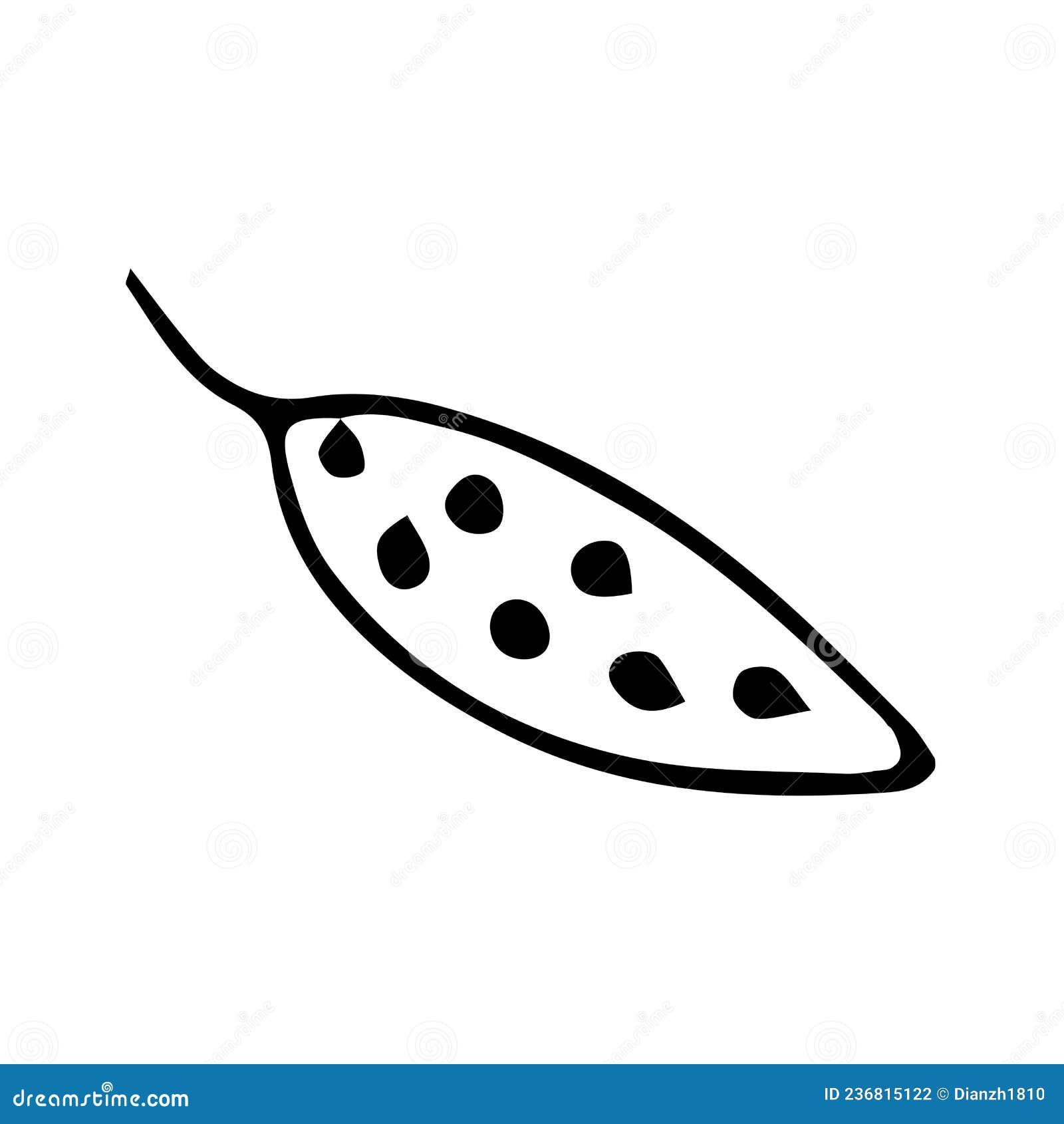 Abstract Leaves And Flowers Doodle Set Vector Illustration Stock Vector
