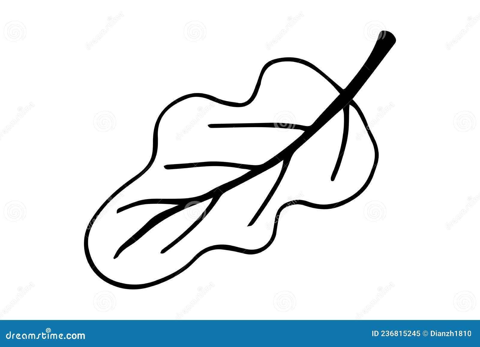 Abstract Leaves And Flowers Doodle Set Vector Illustration Stock Vector
