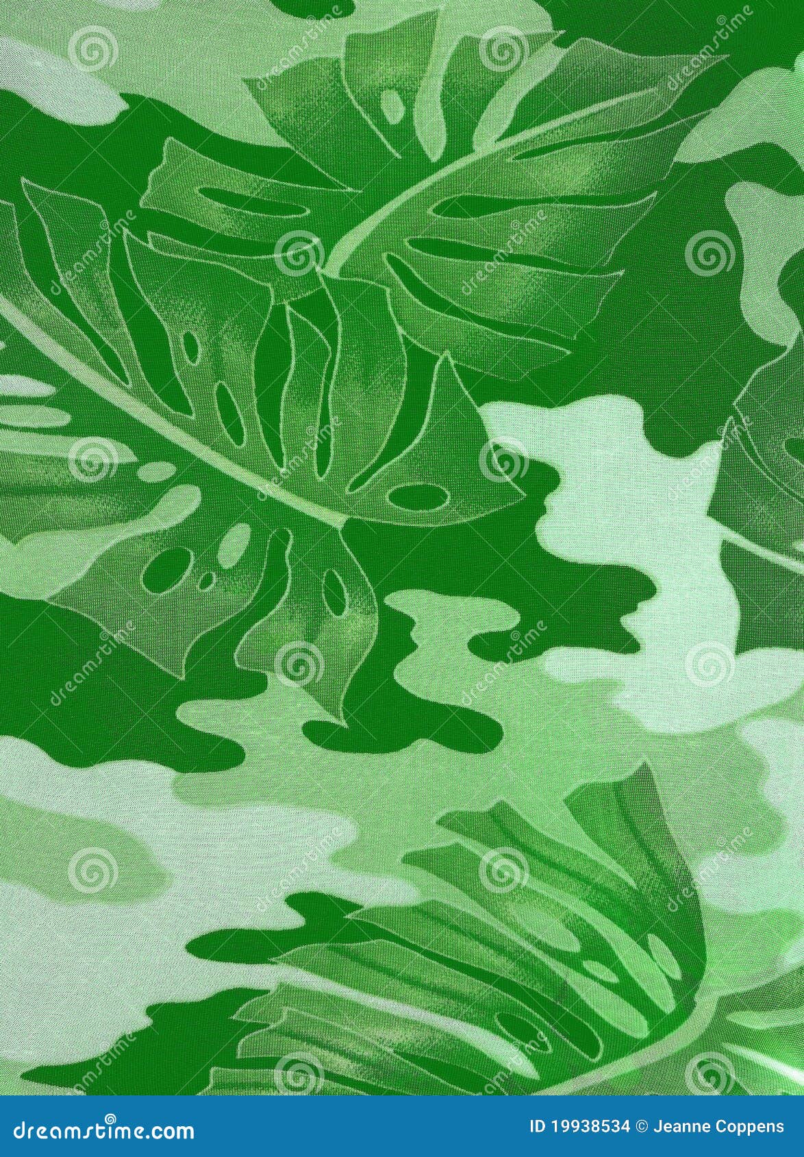 Abstract Leaves of Green Rubber-plant Stock Photo - Image of growth ...