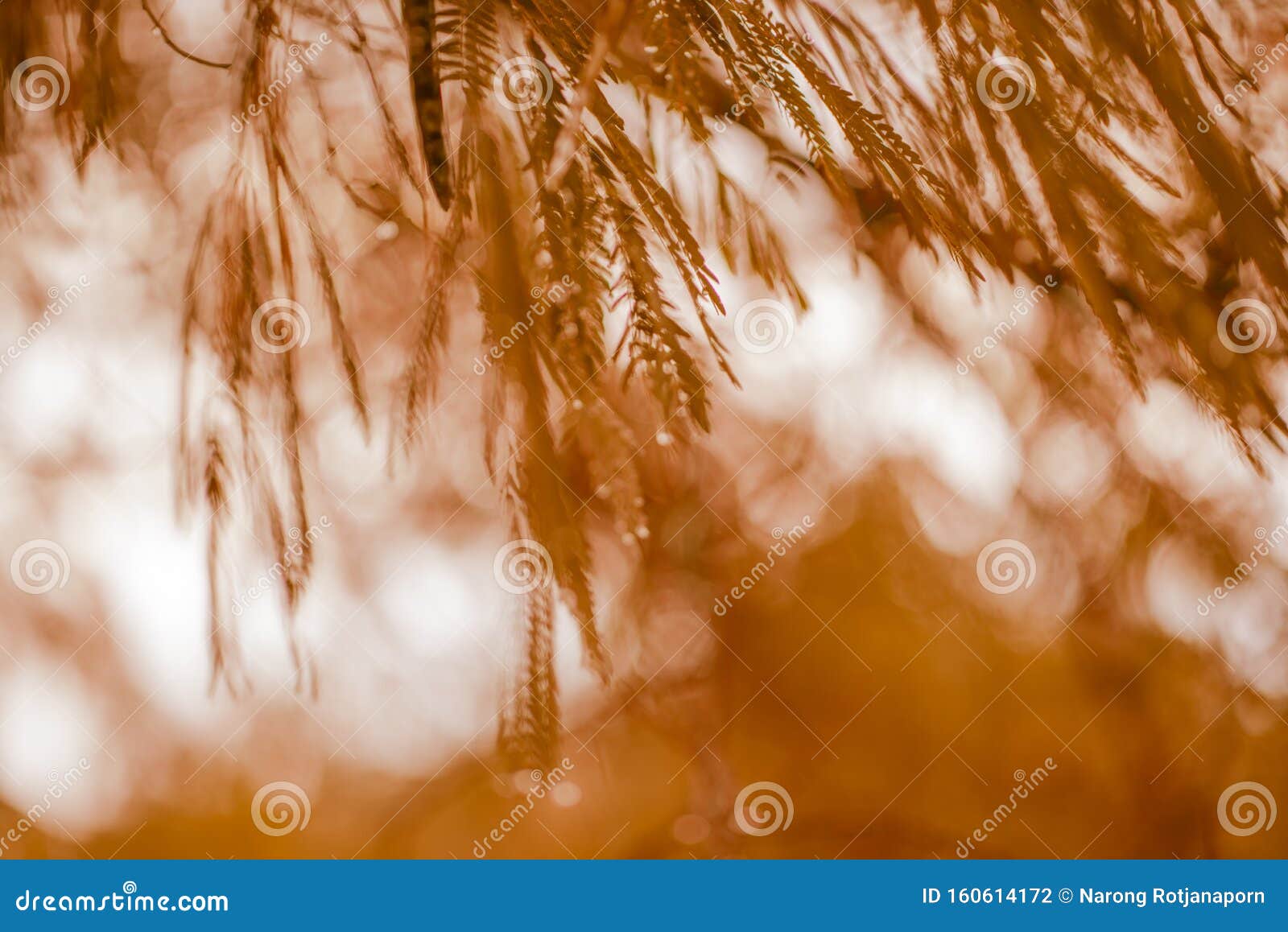 Abstract Light Bokeh Background,circular Facula and Beautiful Wallpaper ...