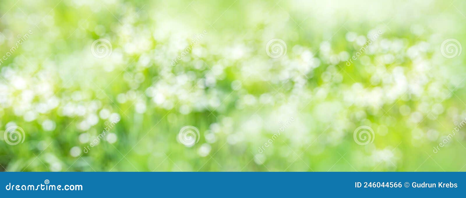 Abstract Light Green Background Stock Photo - Image of natural ...