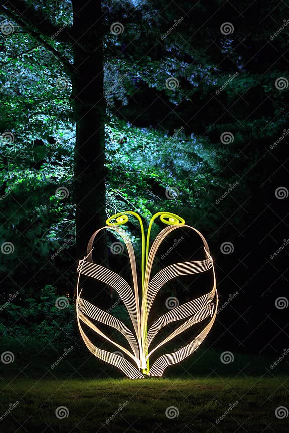 Abstract Light-painting Shape in Forest Stock Image - Image of night ...