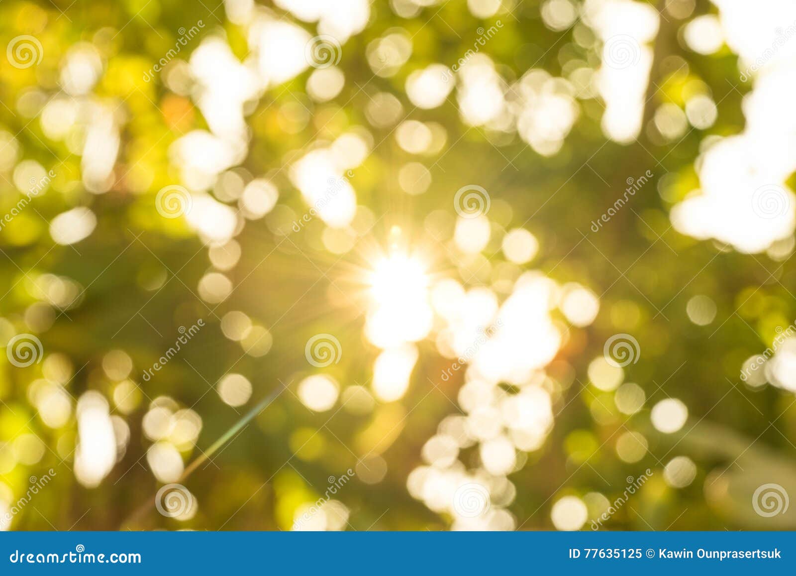 Abstract Light Pass from Leaf of Tree Stock Image - Image of bright ...