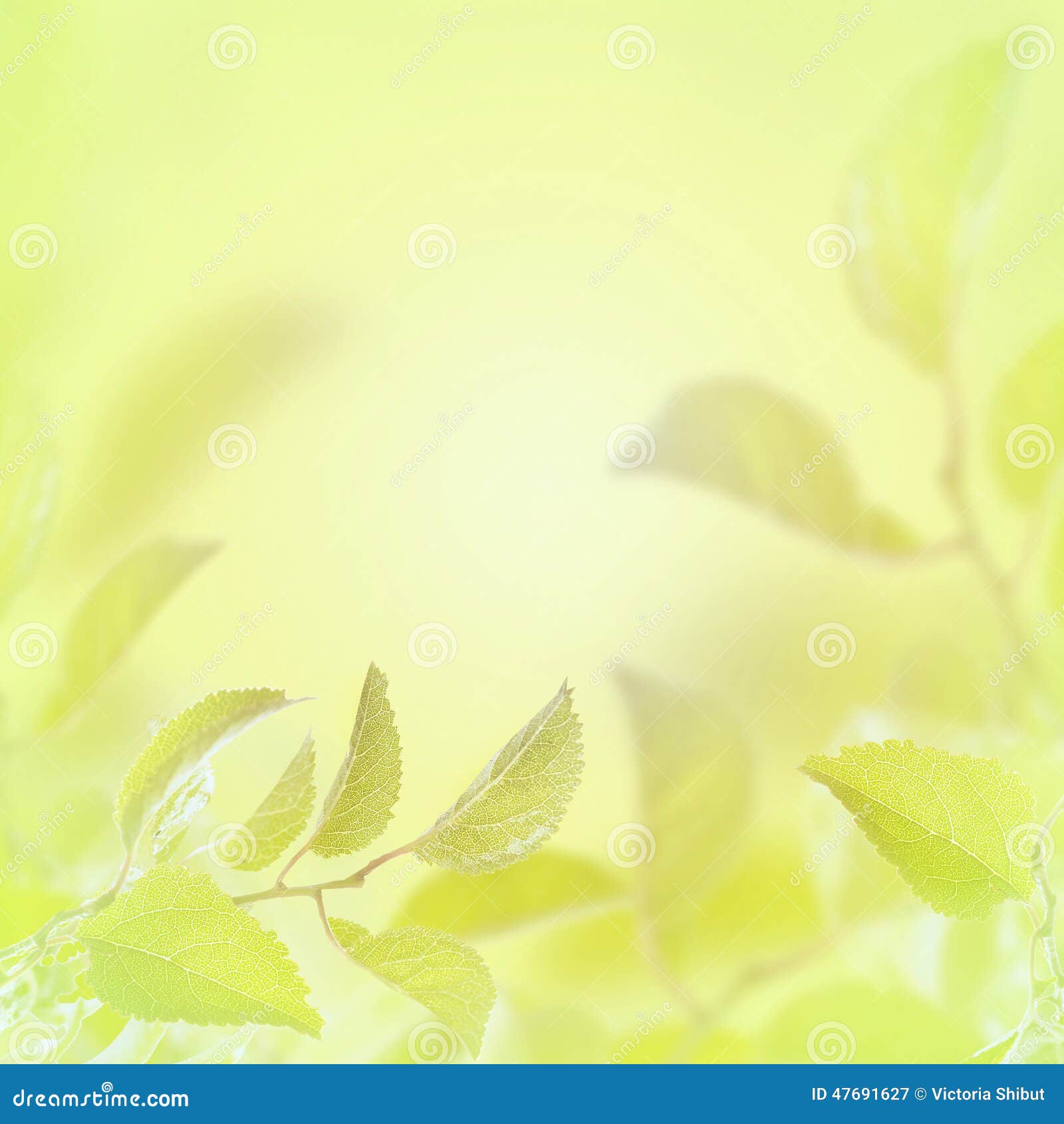 Abstract Light Spring Summer Background with Leaves Stock Image - Image ...