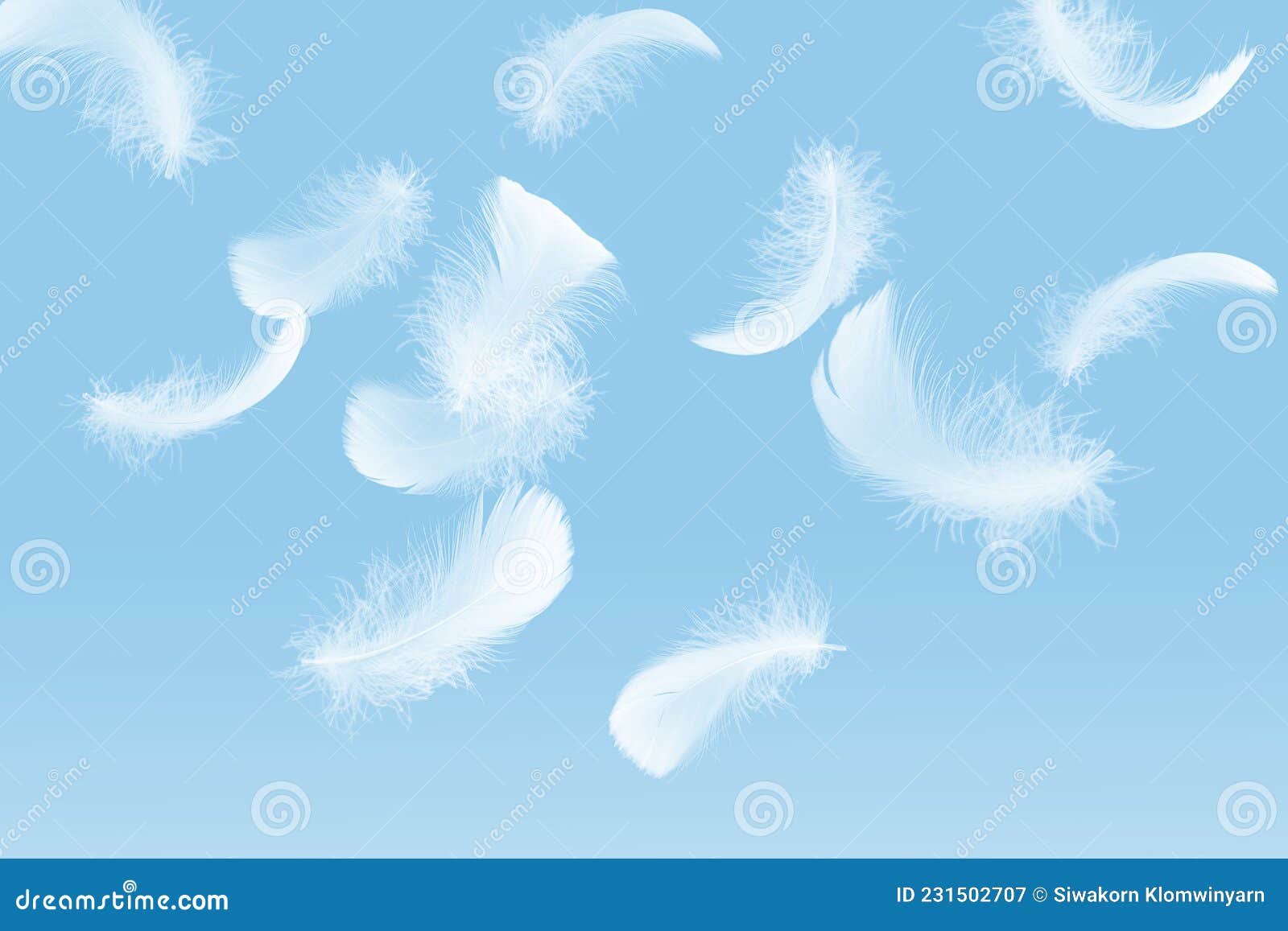 Abstract Lightly of Fluffy White Bird Feathers Falling Down in a Blue ...