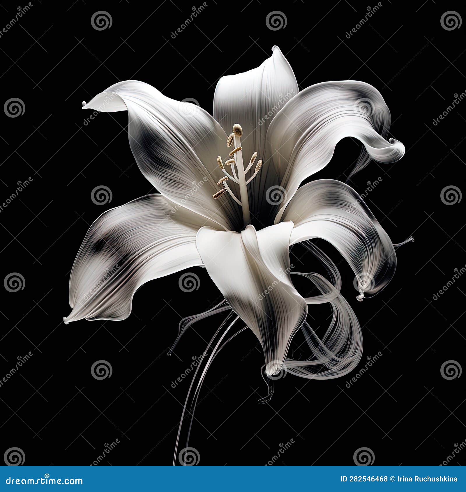 Abstract Lily, Black and White Illustration. Generative AI Stock ...
