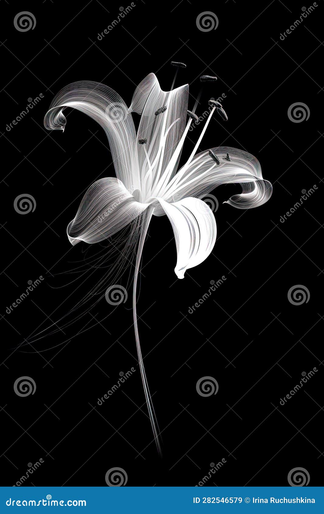 Abstract Lily, Black and White Illustration. Generative AI Stock ...