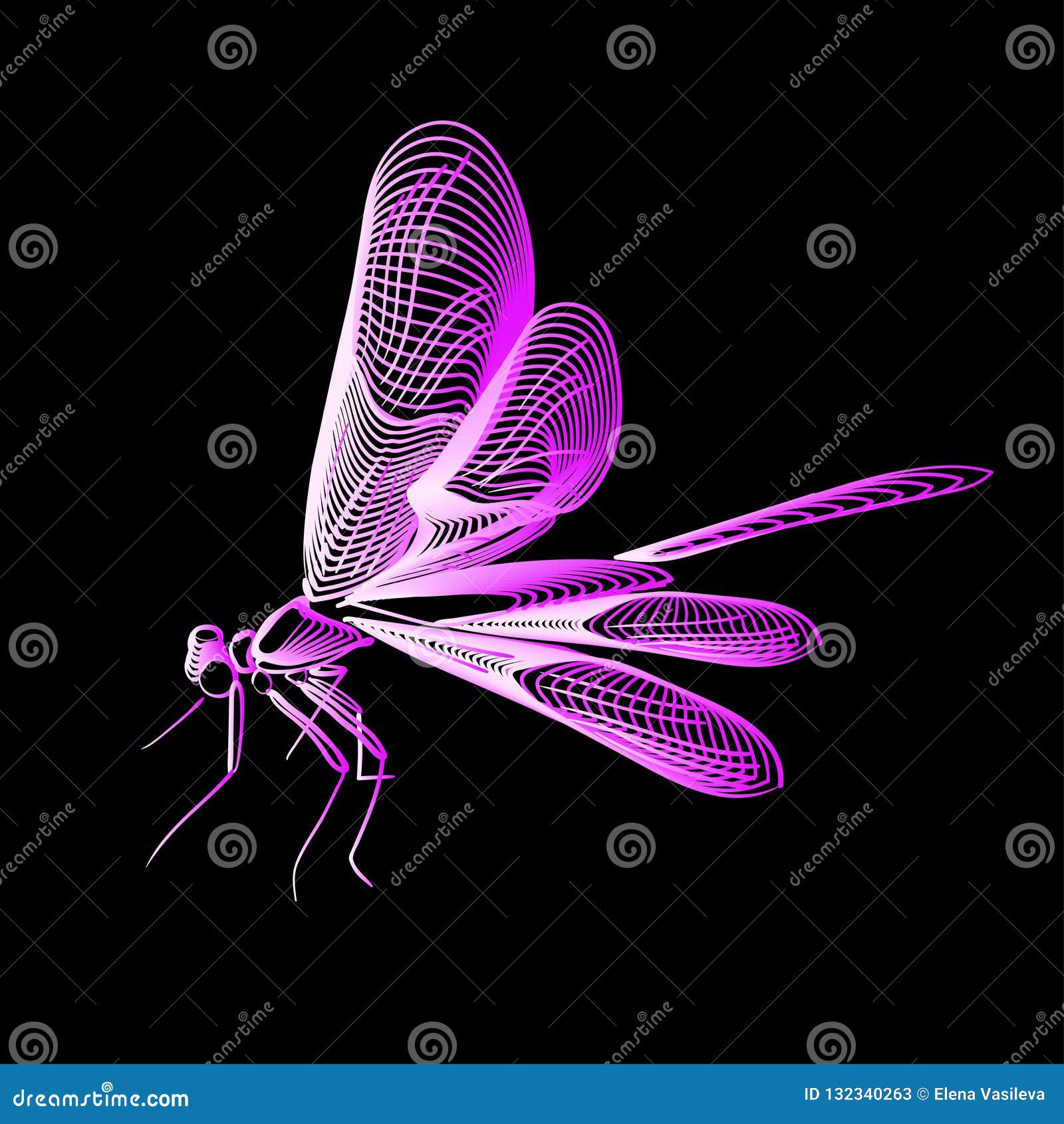 Abstract Line Art Dragonfly, Vector Illustration Isolated Stock Vector ...