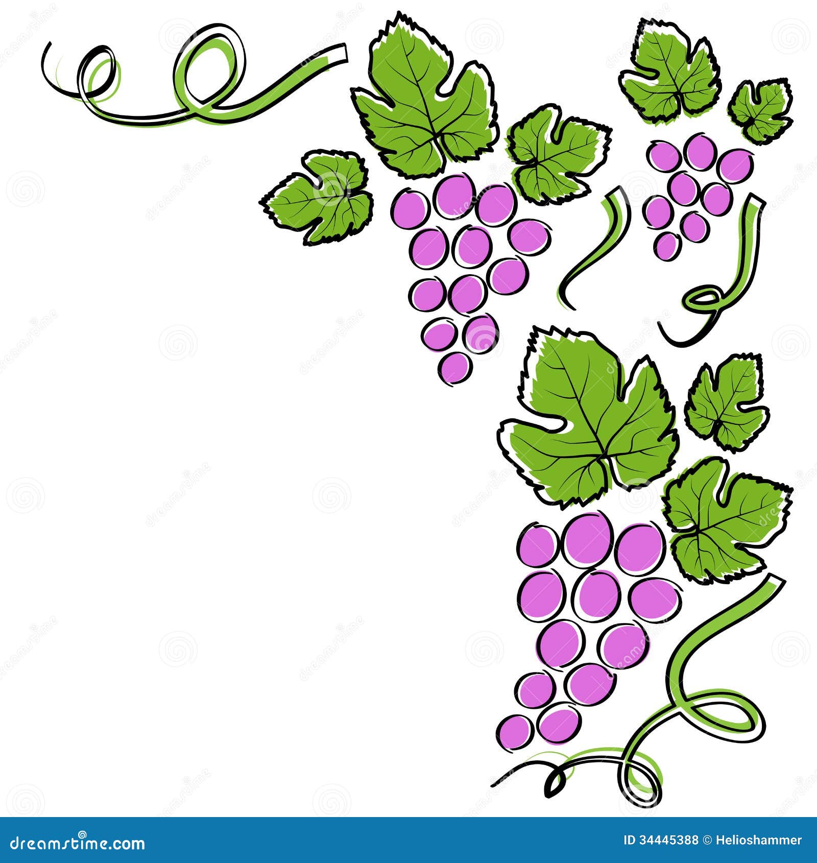 Abstract line grape frame stock vector. Illustration of drawing - 34445388