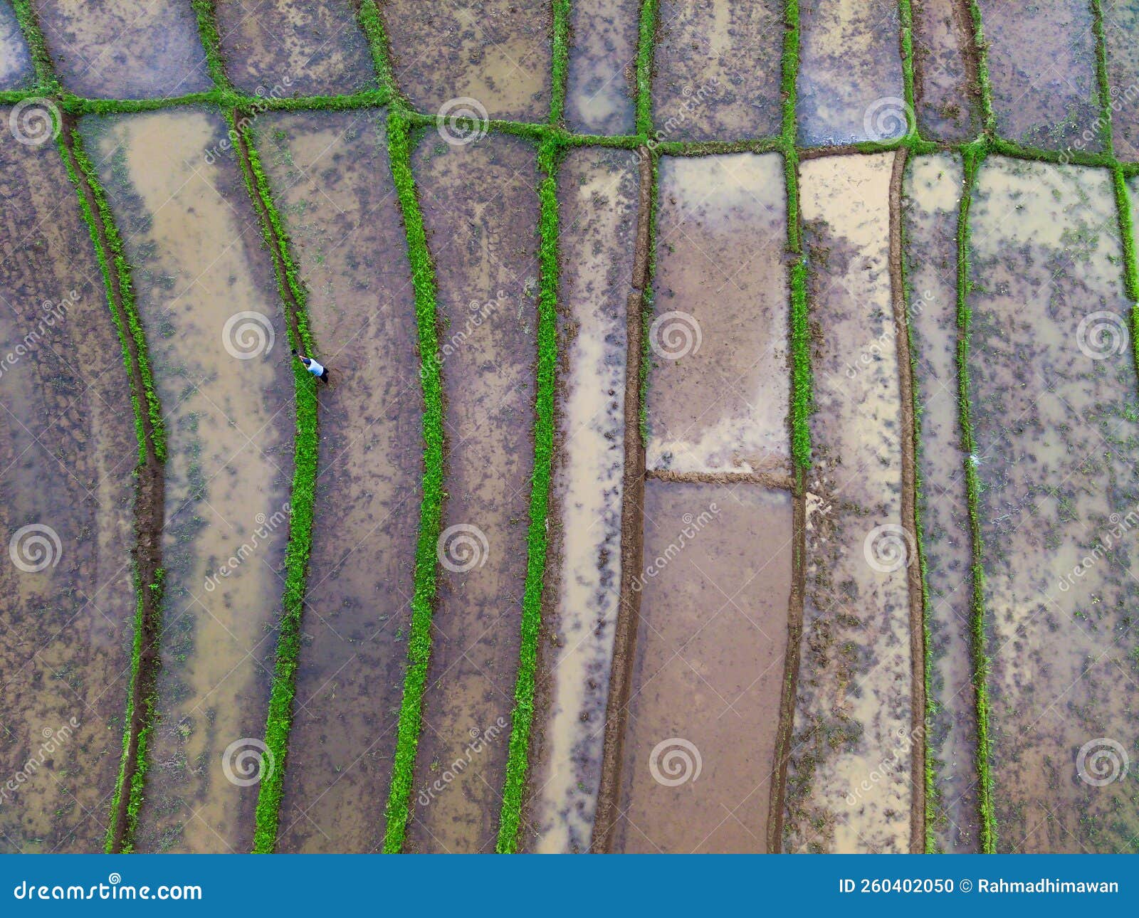 Abstract Lined Farm Path from Aerial Photography Stock Photo - Image of ...