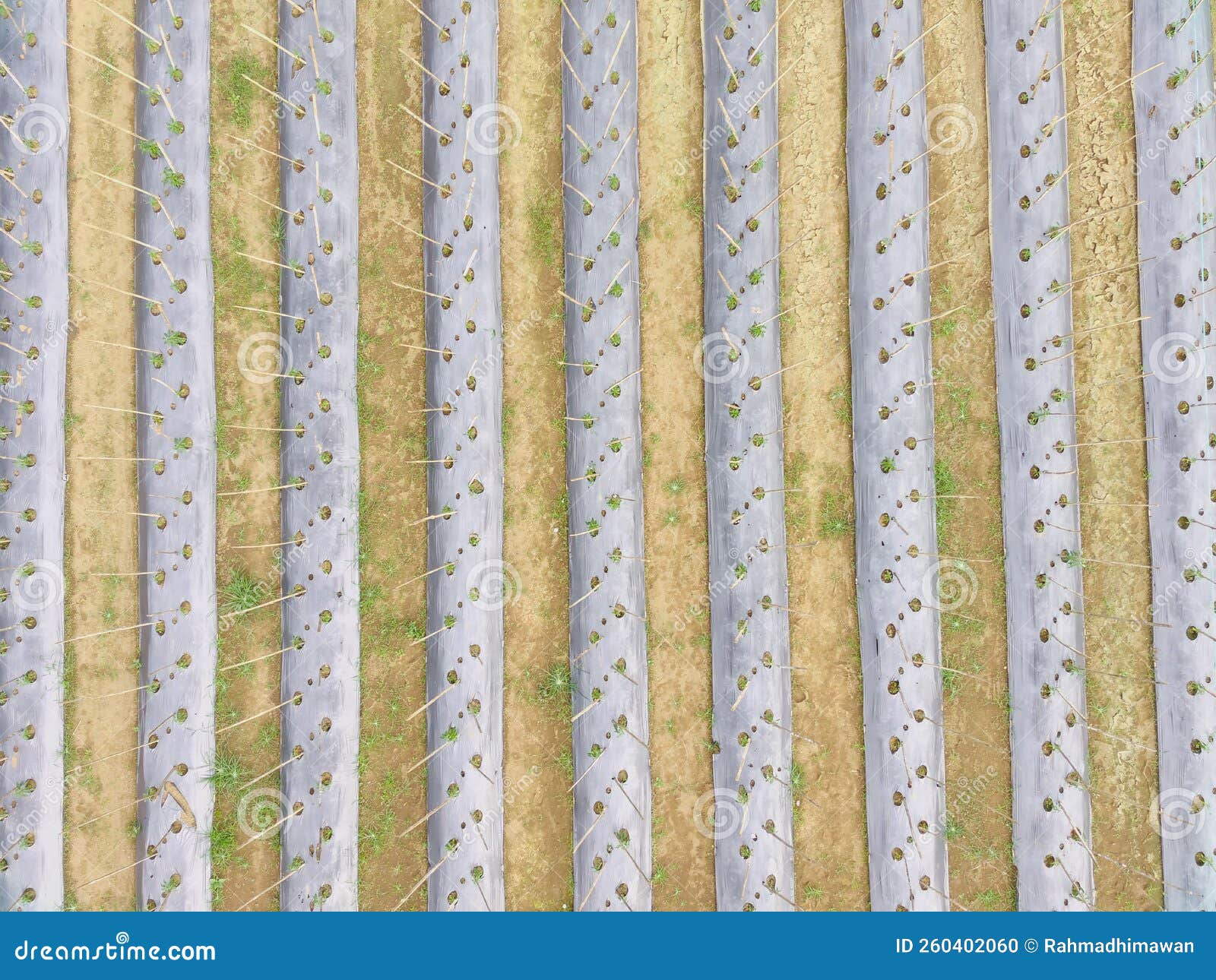 Abstract Lined Farm Path from Aerial Photography Stock Photo - Image of ...