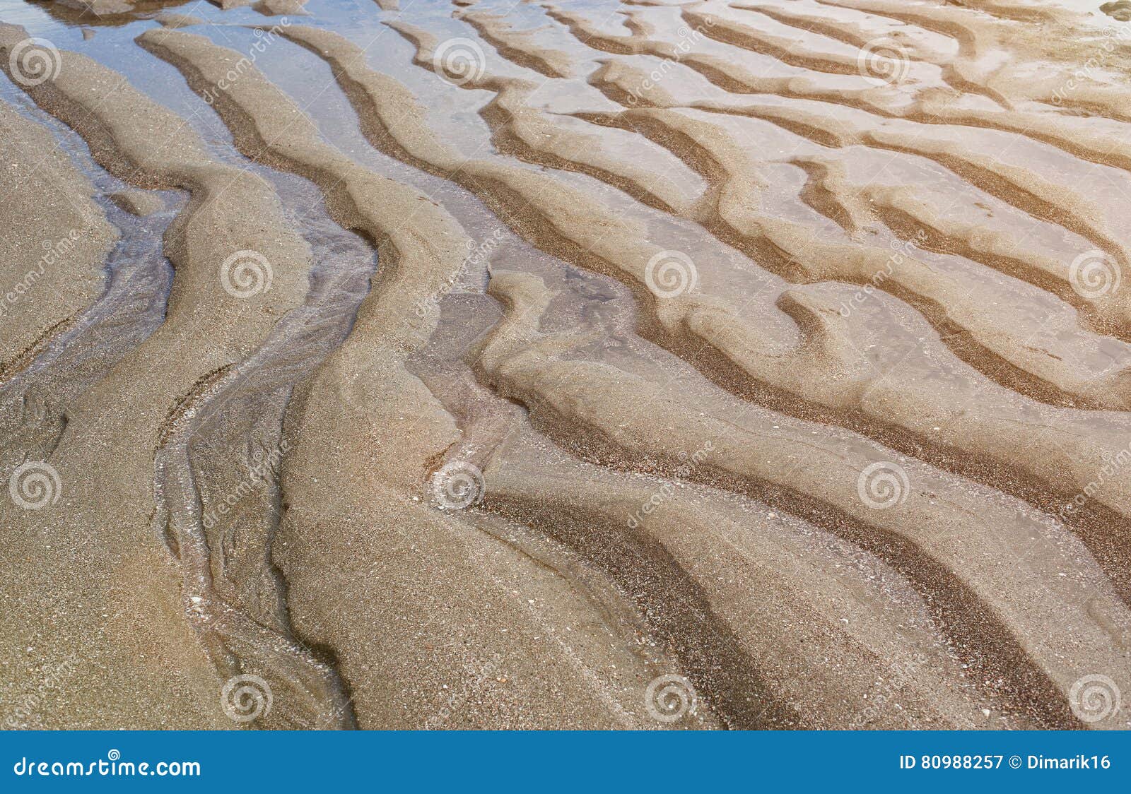 Abstract lines on beach stock image. Image of background - 80988257