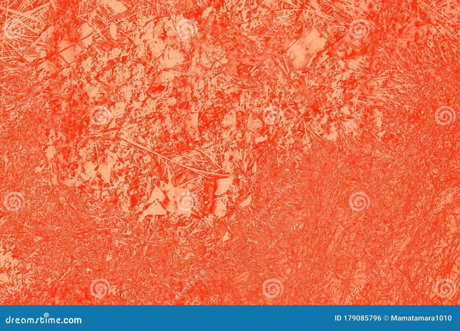 Coral Color Background Stock Photos - Download 61,678 Royalty Free Photos