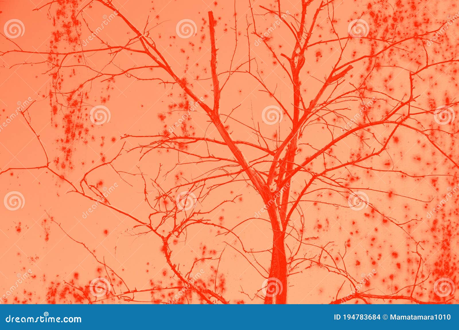 Abstract Live Coral Color Background for Design Stock Photo - Image of ...