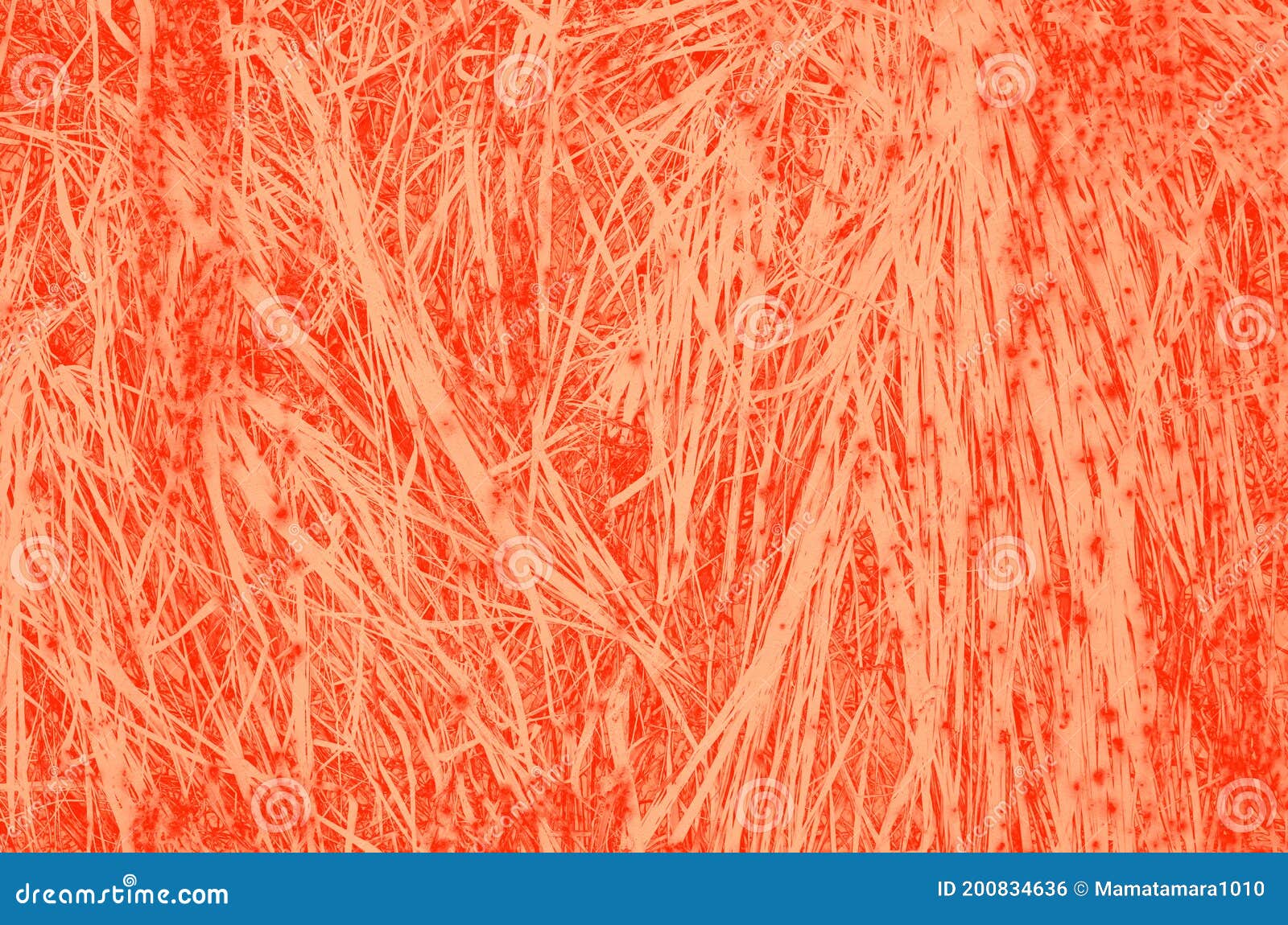 Abstract Live Coral Color Background for Design Stock Illustration ...