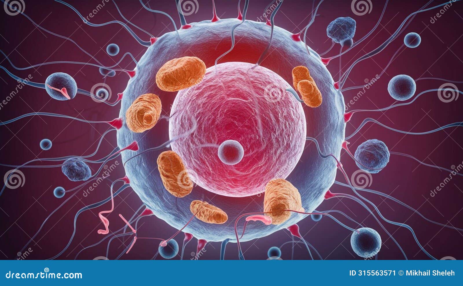 Abstract Look Inside a Living Cell Nucleus, Mitochondria, Vacuoles ... Abstract Look Inside a Living Cell Nucleus, Mitochondria, Vacuoles ...