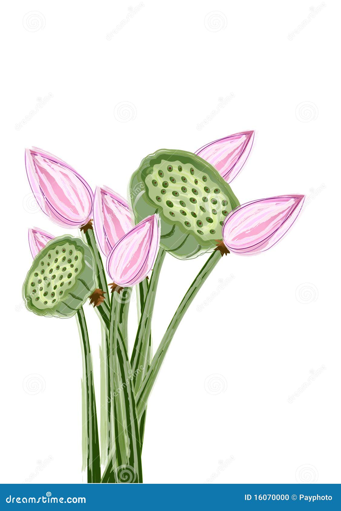 Abstract lotus flower stock vector. Illustration of landscape - 16070000