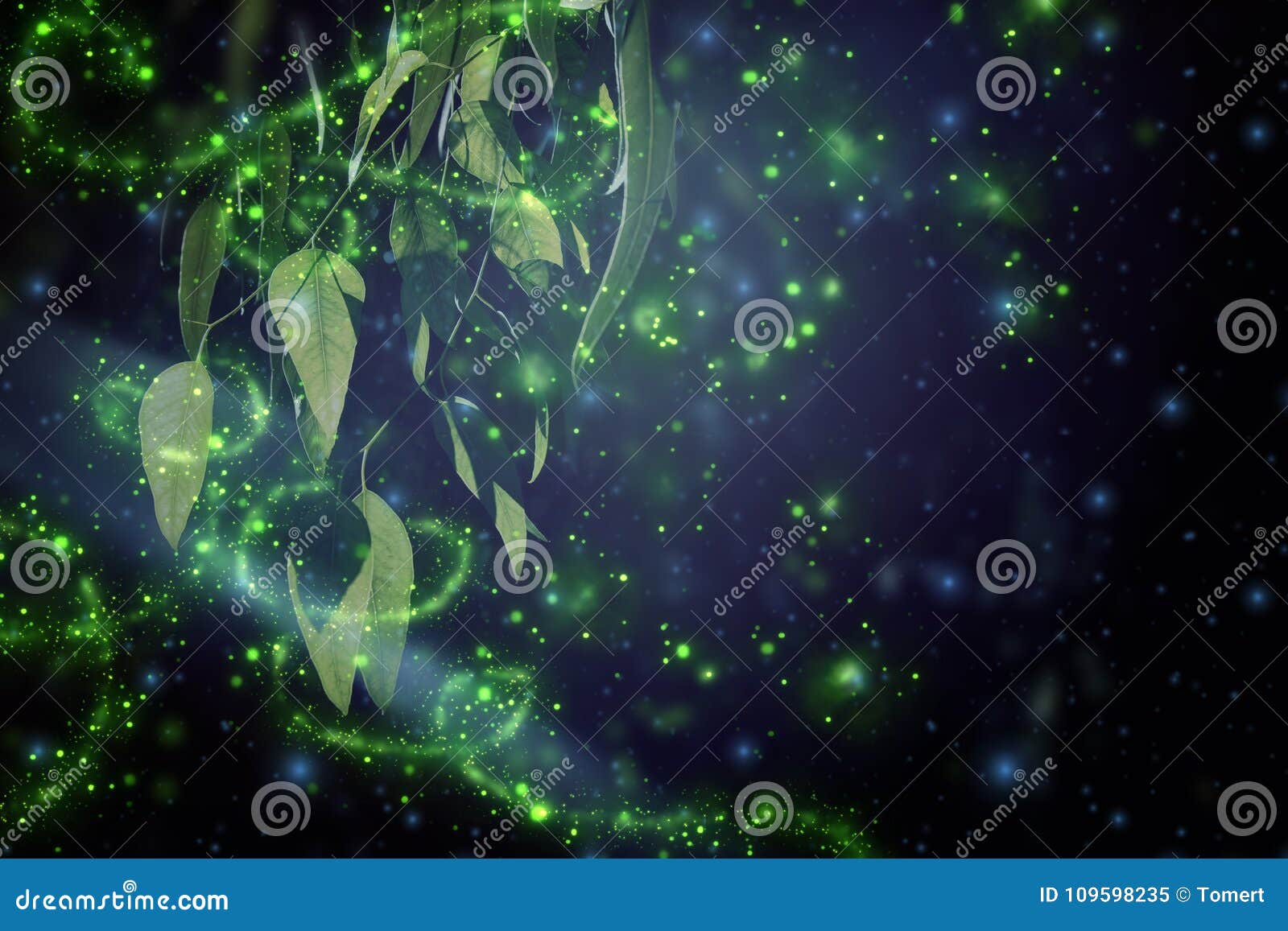 Abstract and Magical Image of Firefly Flying in the Night Forest. Fairy ... Abstract and Magical Image of Firefly Flying in the Night Forest. Fairy ...