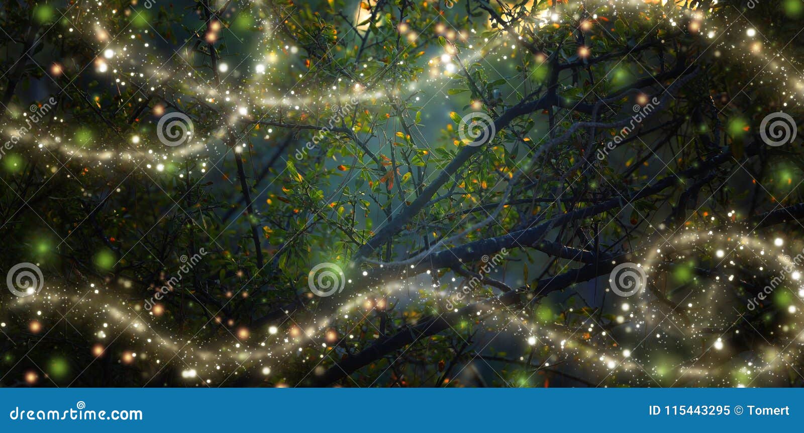 Abstract and Magical Image of Firefly Flying in the Night Forest Stock ... Abstract and Magical Image of Firefly Flying in the Night Forest Stock ...