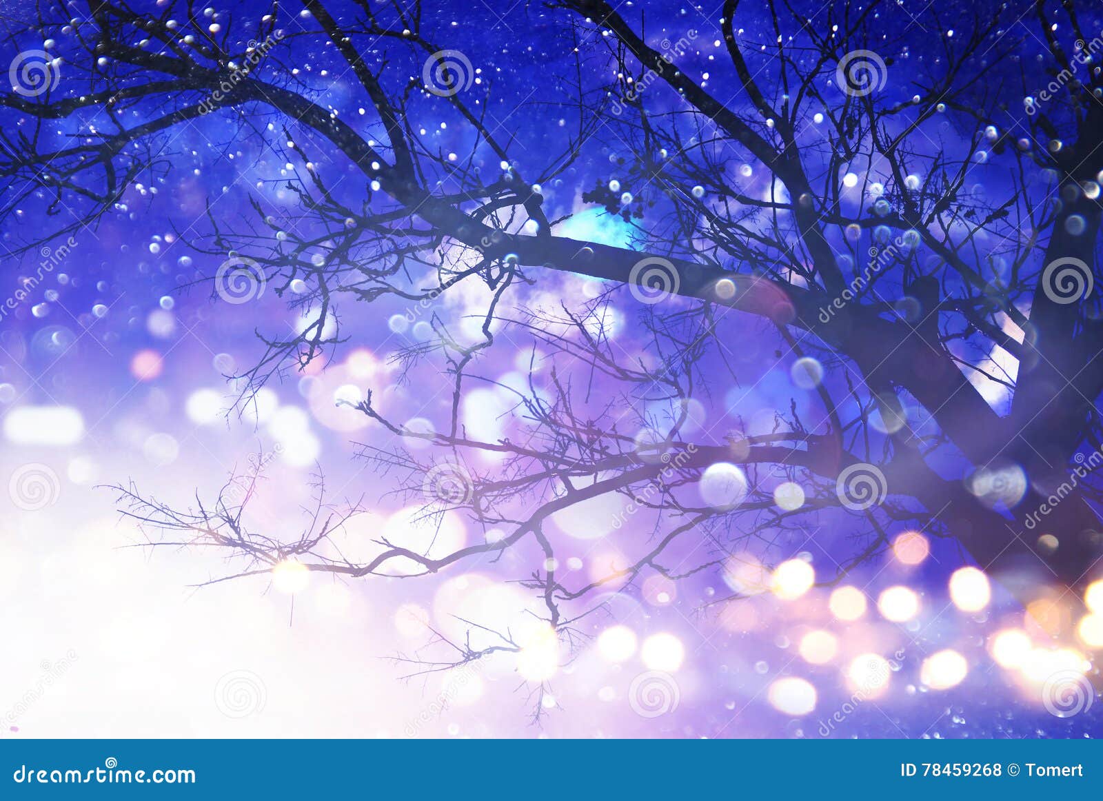Abstract and Magical Image of Tree with Glitter Lights Stock Photo ...
