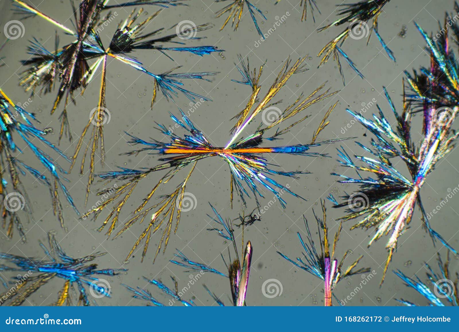 Micrograph of Radiating, Colorful Crystals of the Amino Acid Alanine ...