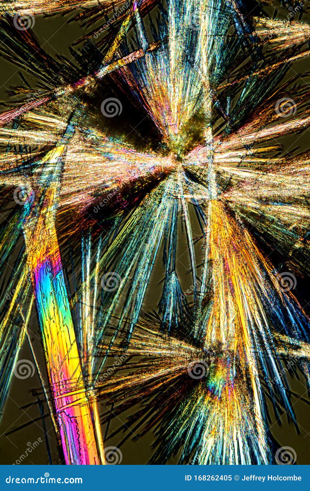 Micrograph of Radiating, Colorful Crystals of the Amino Acid Alanine ...