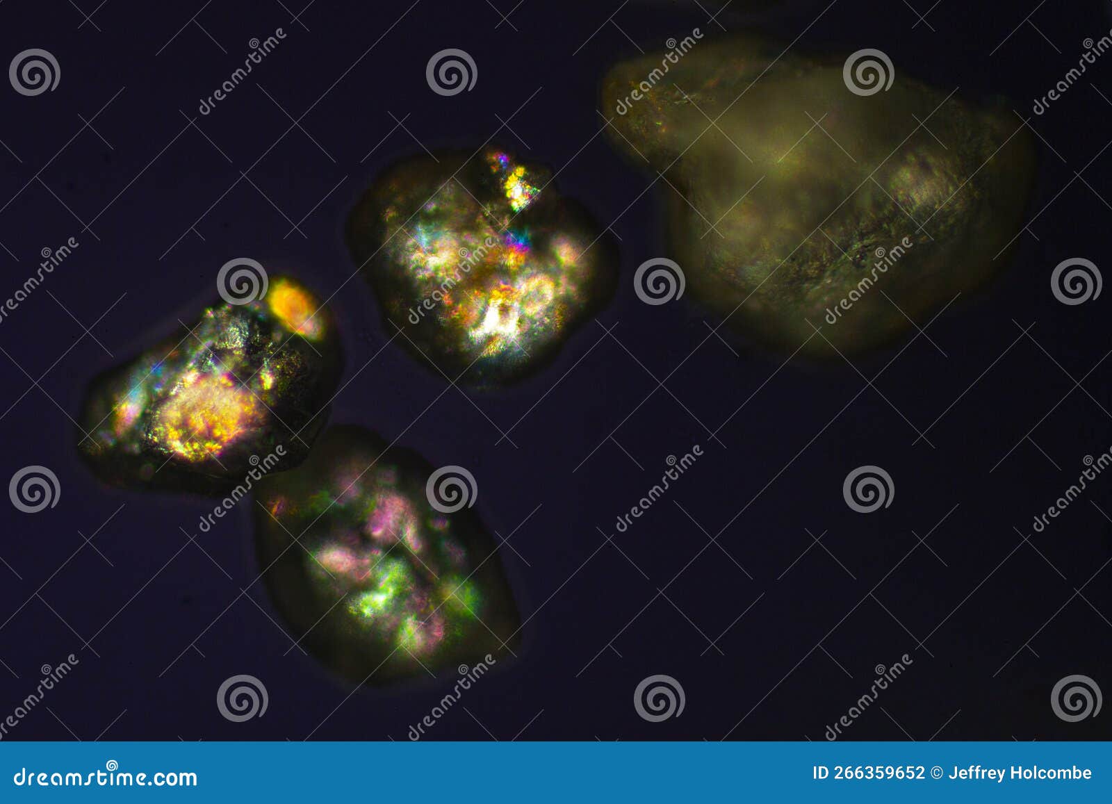 Abstract Micrograph of Beach Sand from Martha`s Vineyard, Massachusetts ...