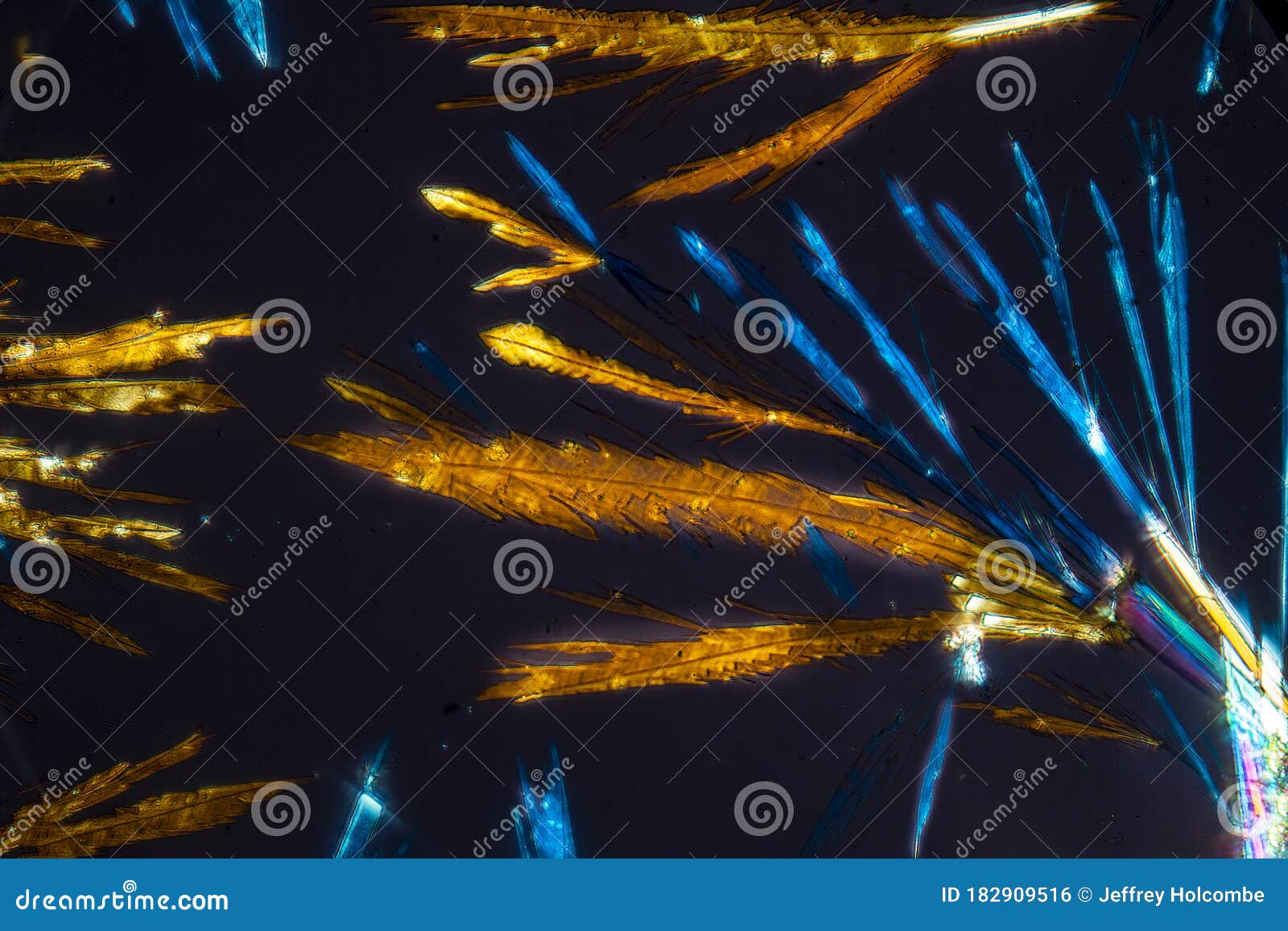 Abstract Micrograph of Crystals of the Amino Acid Alanine Stock Photo ...