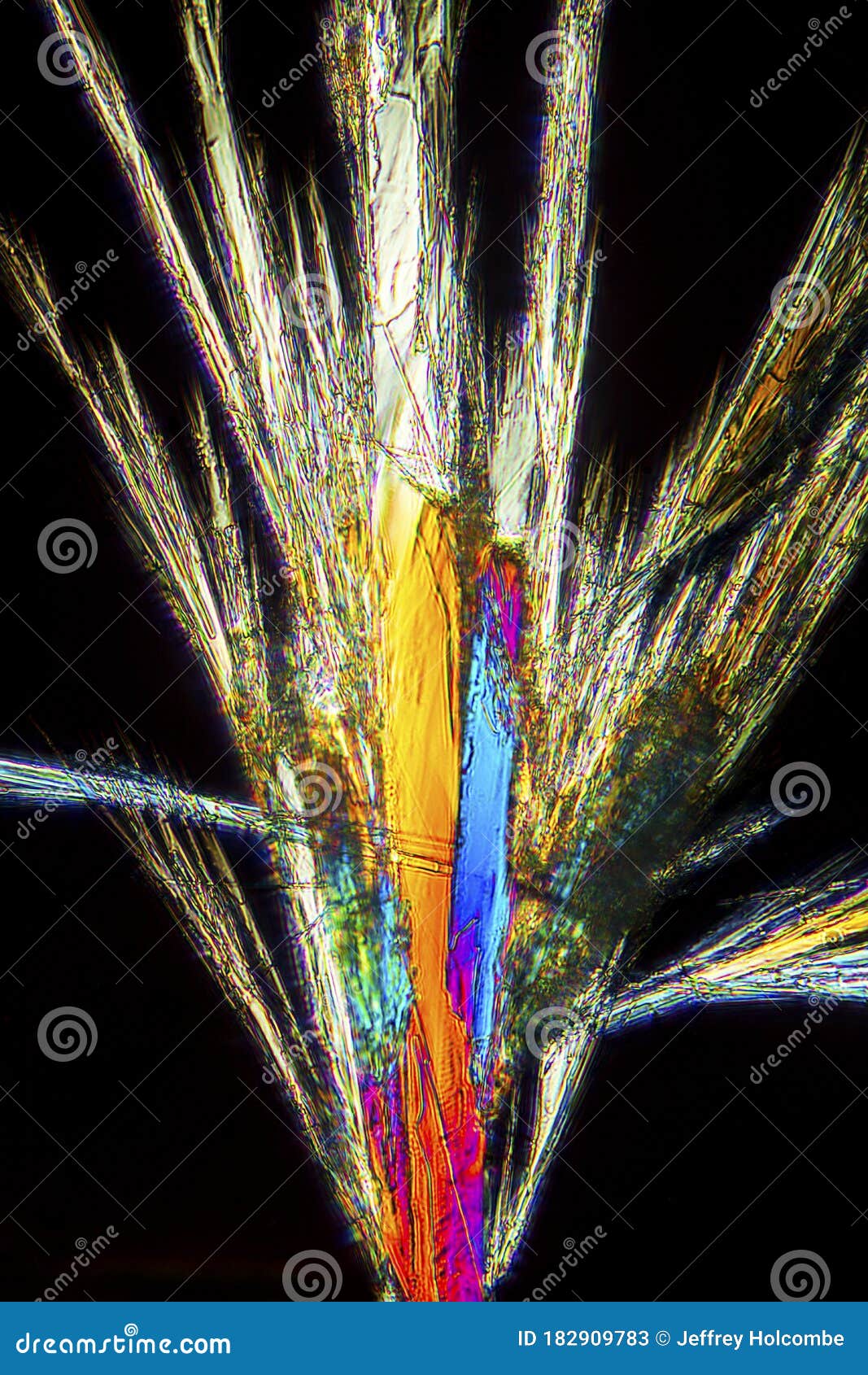 Abstract Micrograph of Crystals of the Amino Acid Alanine Stock Image ...