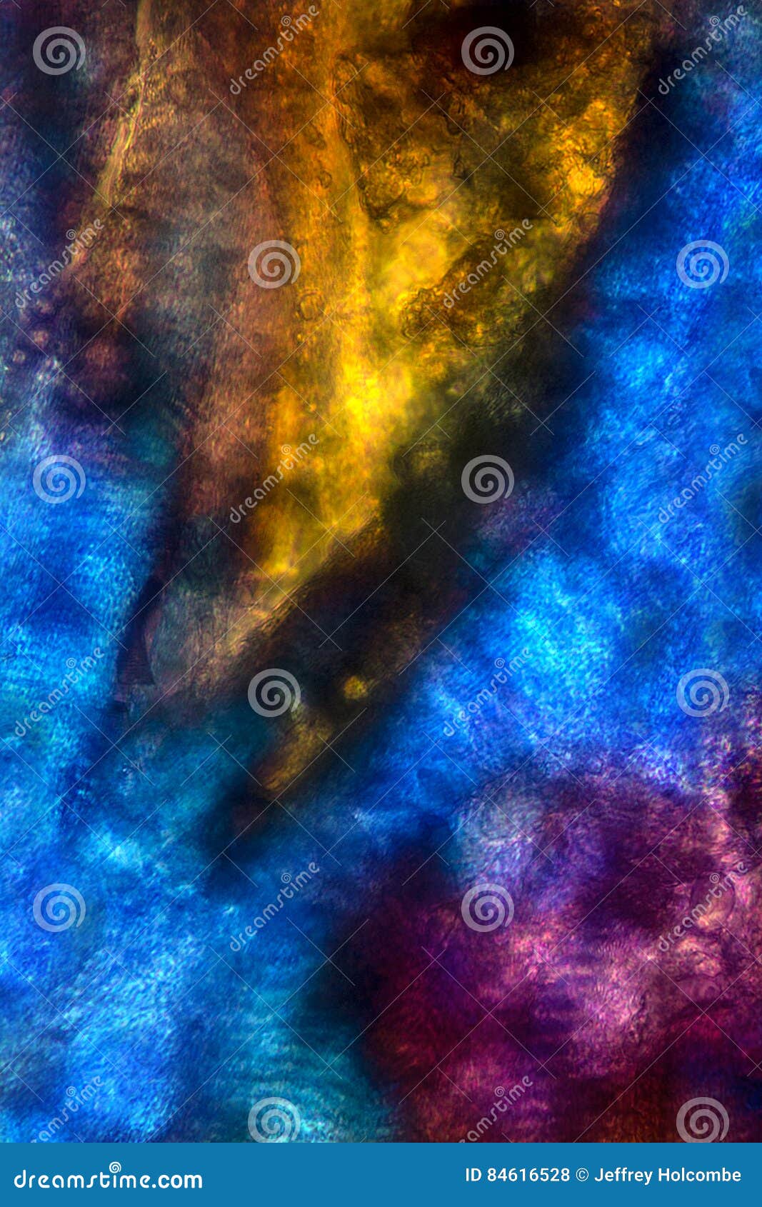 Abstract Micrograph of Muscle from a Bumble Bee. Stock Photo - Image of ...