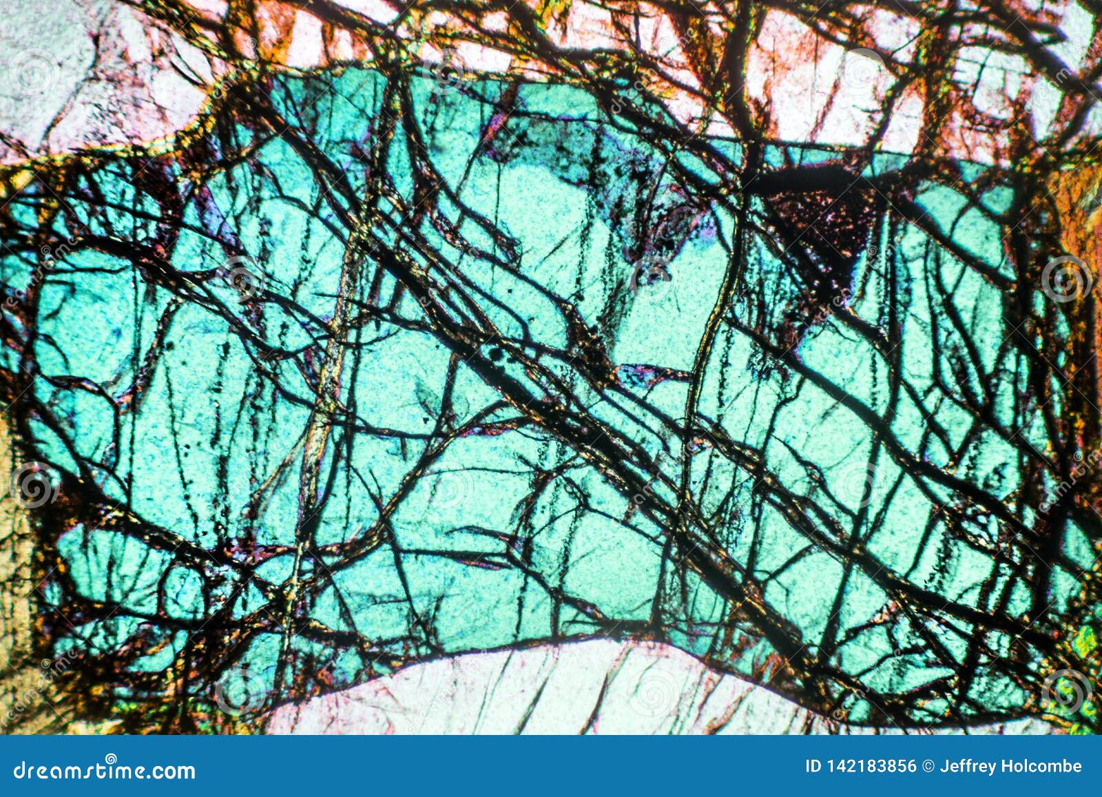 Abstract Micrograph of Olivine Pyroxenite with Polarization Stock Photo ...