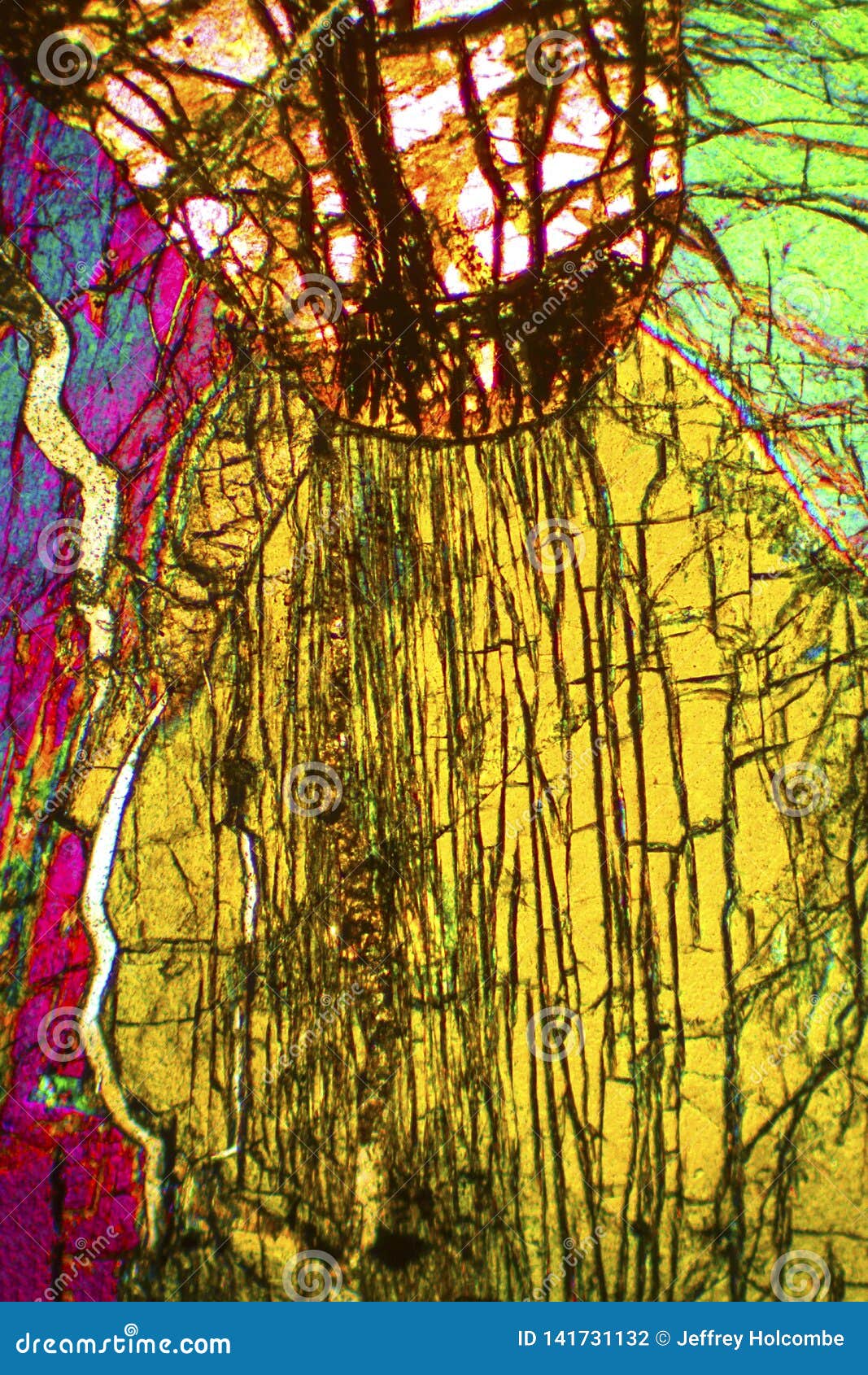 Abstract Micrograph of Olivine Pyroxenite Viewed with a Polarizing ...