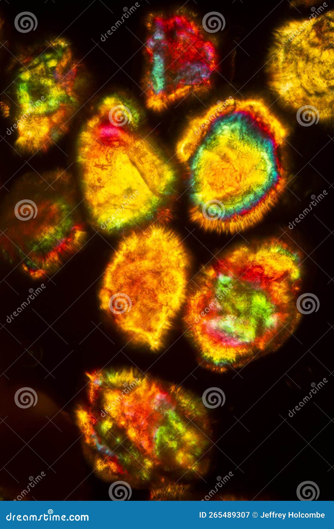 Abstract Micrograph of Sand Grains from Utah Stock Image - Image of ...