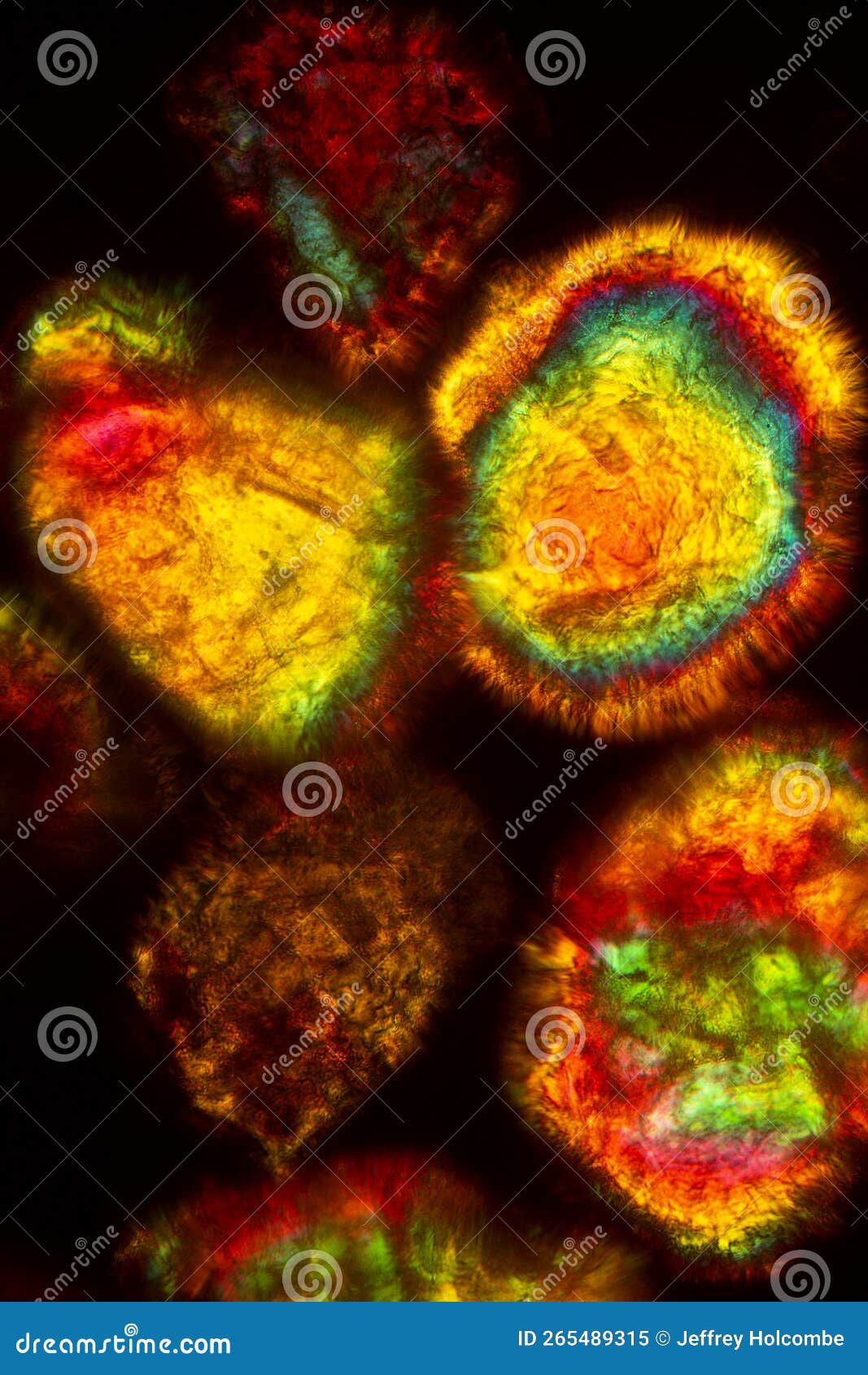 Abstract Micrograph of Sand Grains from Utah Stock Image - Image of ...