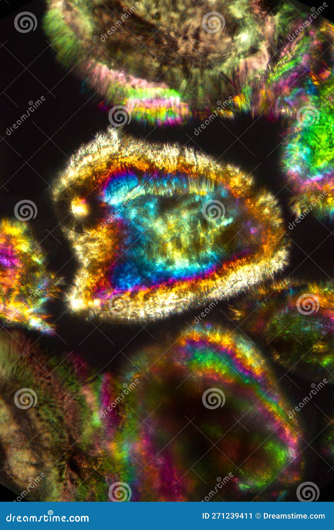 Abstract Micrograph of Sand Grains from Cape Cod, Massachusetts Stock ...