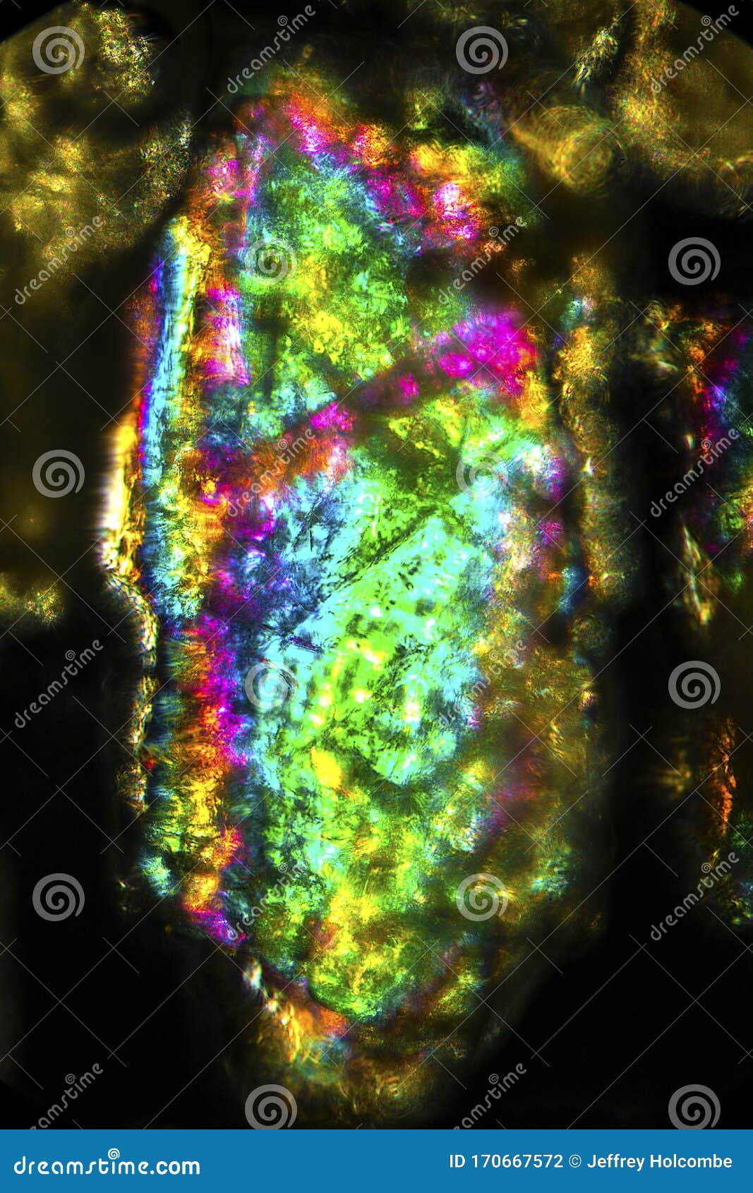 Abstract Micrograph of Sand Grains from Puerto Vallarta, Mexico Stock ...