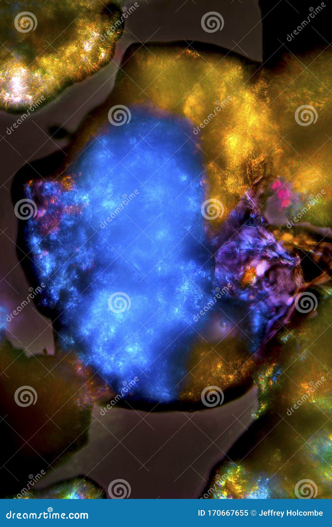 Abstract Micrograph of Sand Grains from Puerto Vallarta, Mexico Stock ...