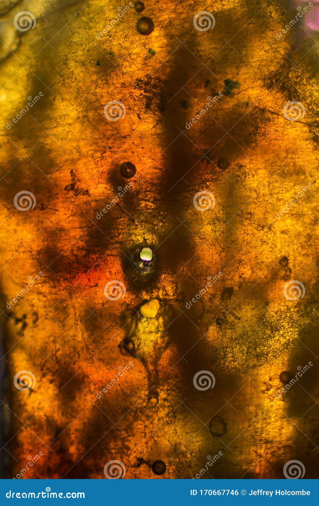 Abstract Micrograph of Sand Grains from Puerto Vallarta, Mexico Stock ...