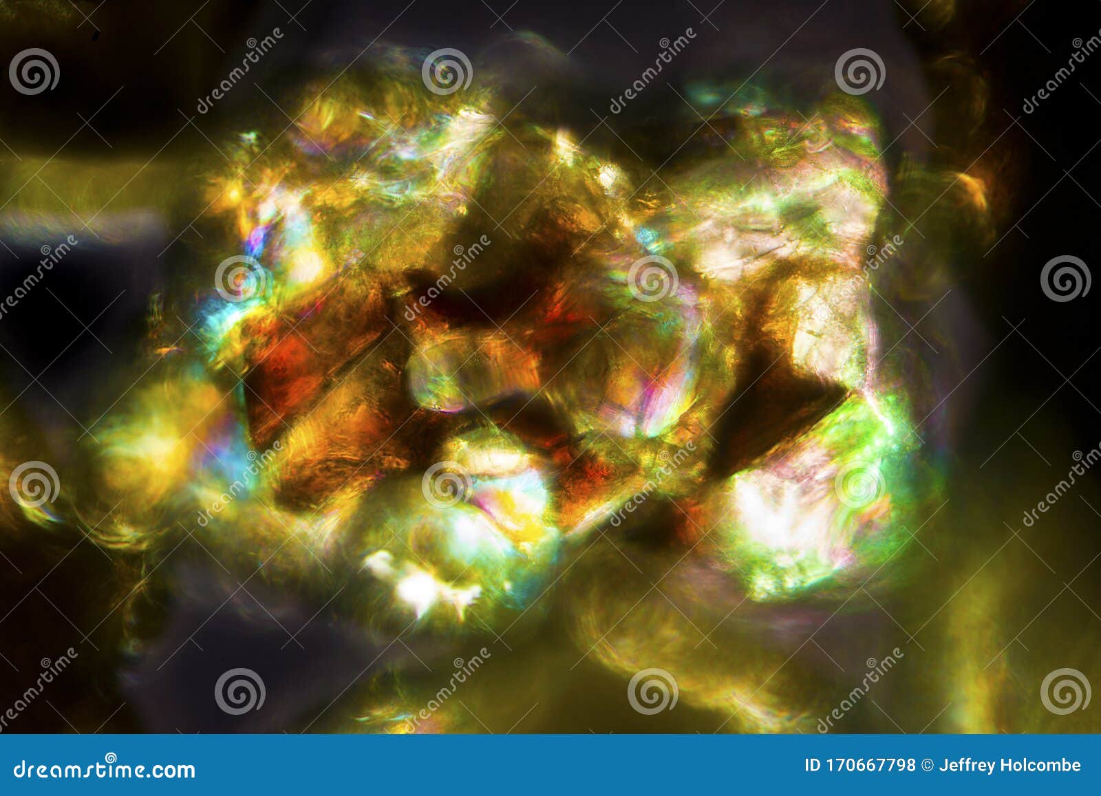 Abstract Micrograph of Sand Grains from Puerto Vallarta, Mexico Stock ...