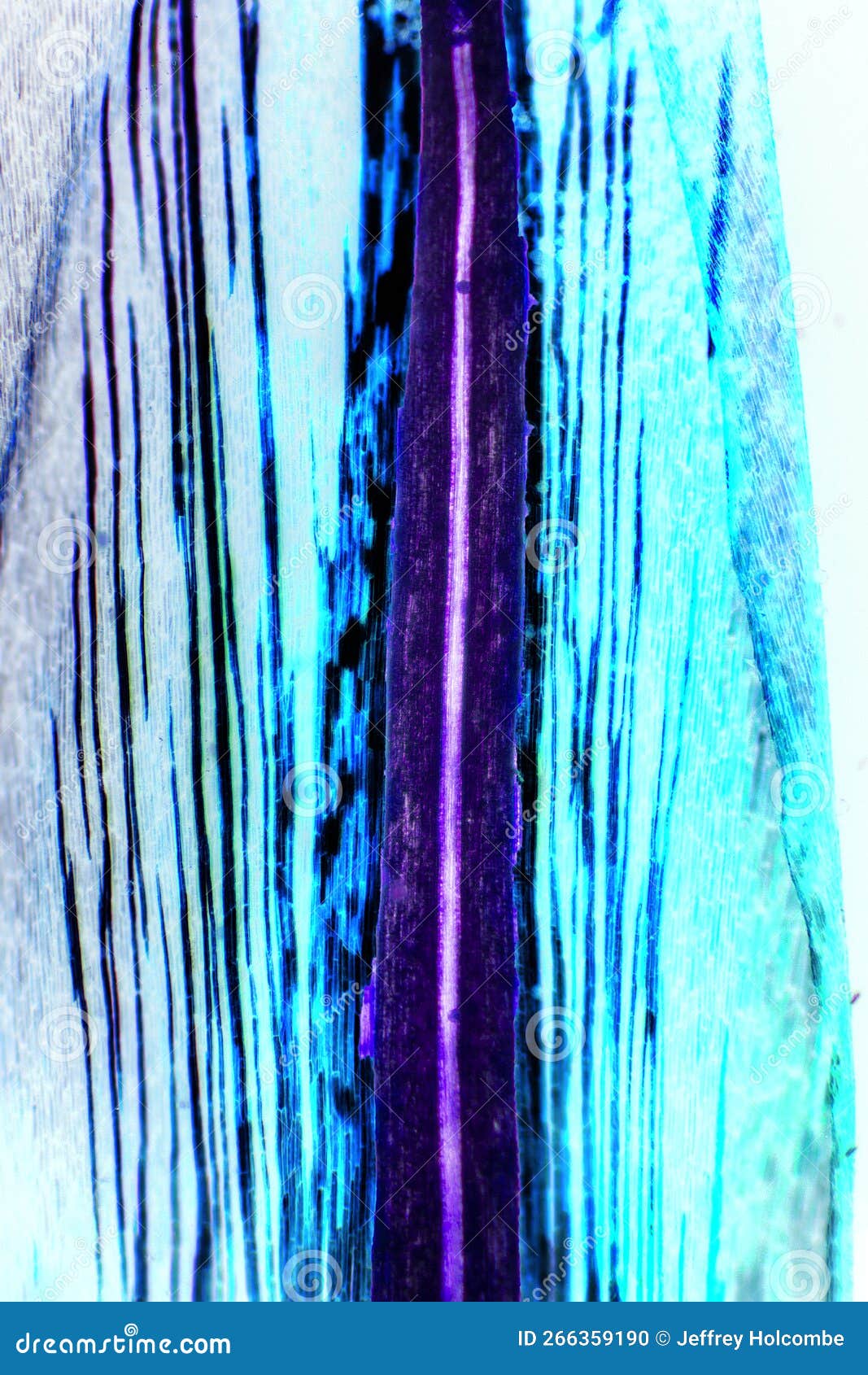 Abstract Vascular Red Blood Cells Flowing Through Veins Or Artery ...