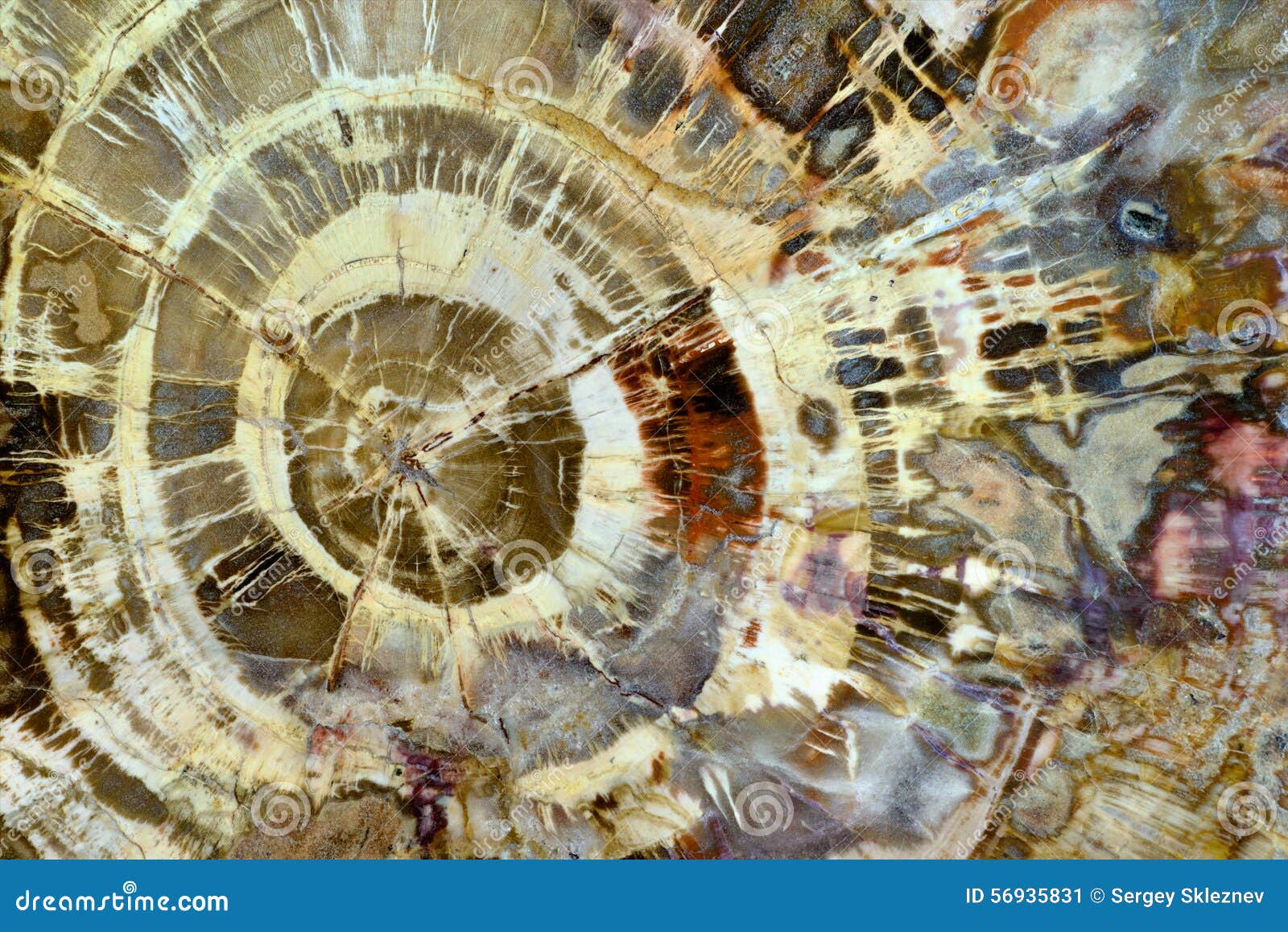 Abstract mineral texture stock image. Image of natural - 56935831